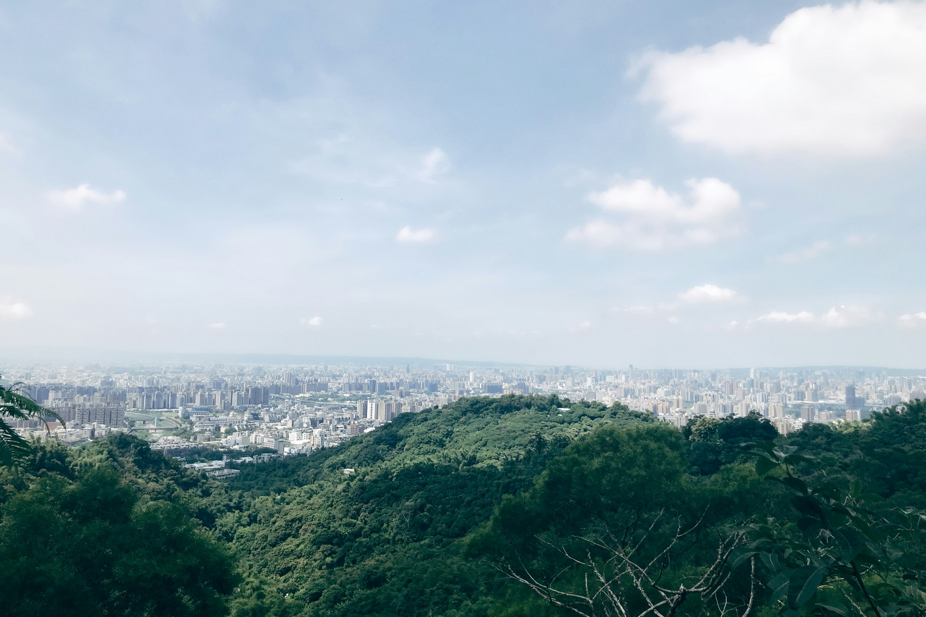 Expansive view of a city skyline framed by lush green hills under a clear sky. The scene captures the harmony between nature and urban life.