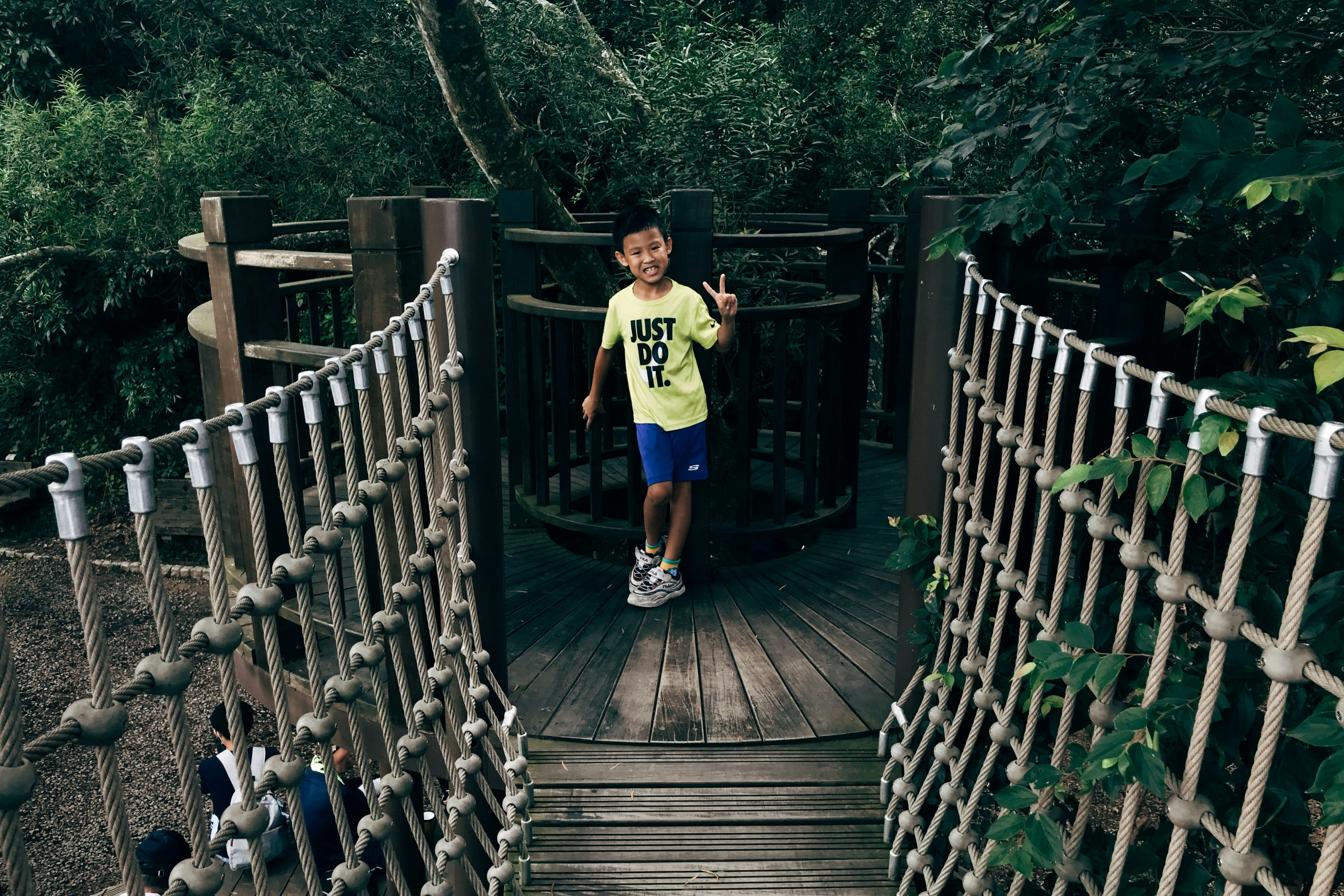 Child in the Tree-Top Spiral: A Playful Moment on a Wooden Bridge