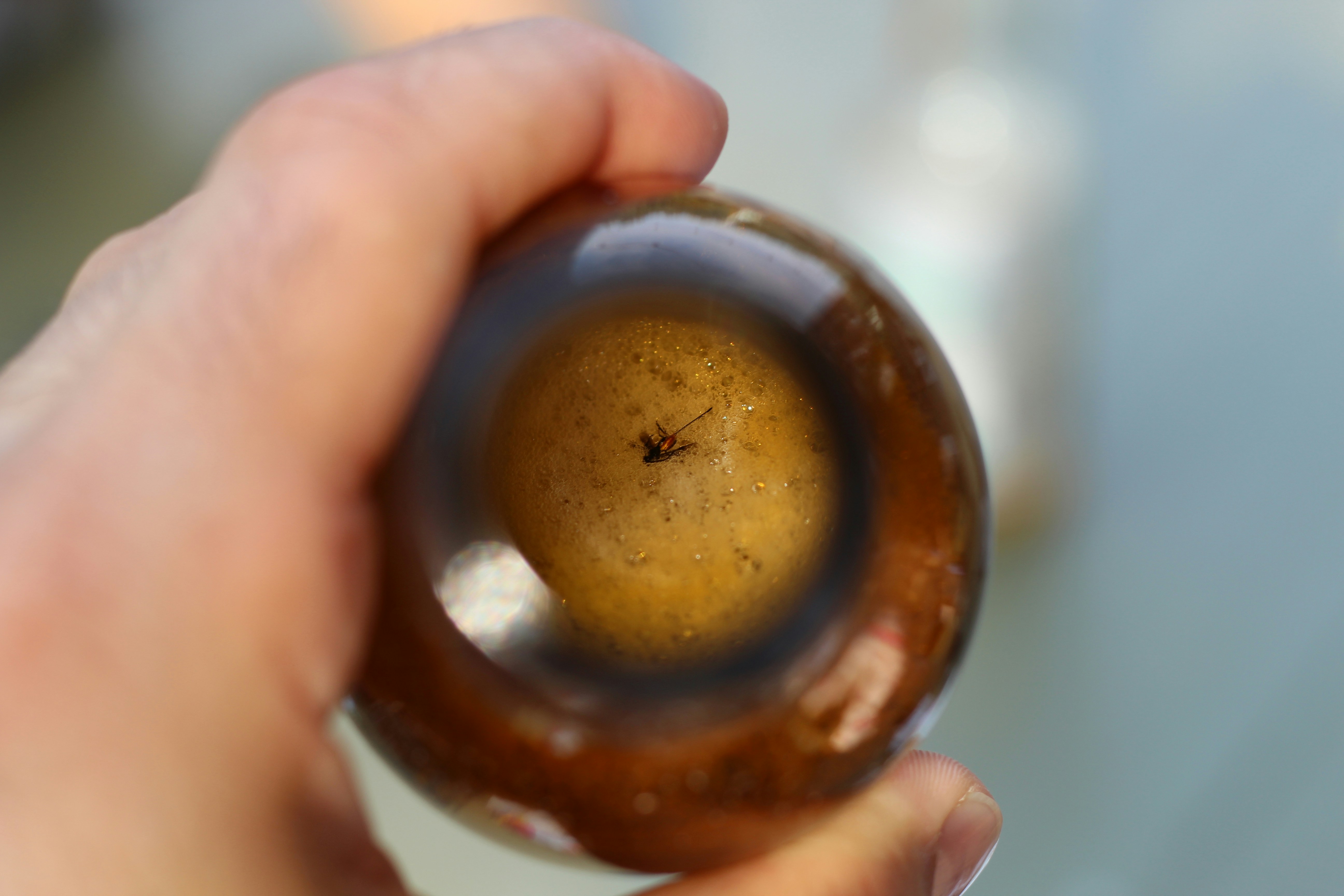 Amber Aperture: a hand-held macro into the bottle's quiet center