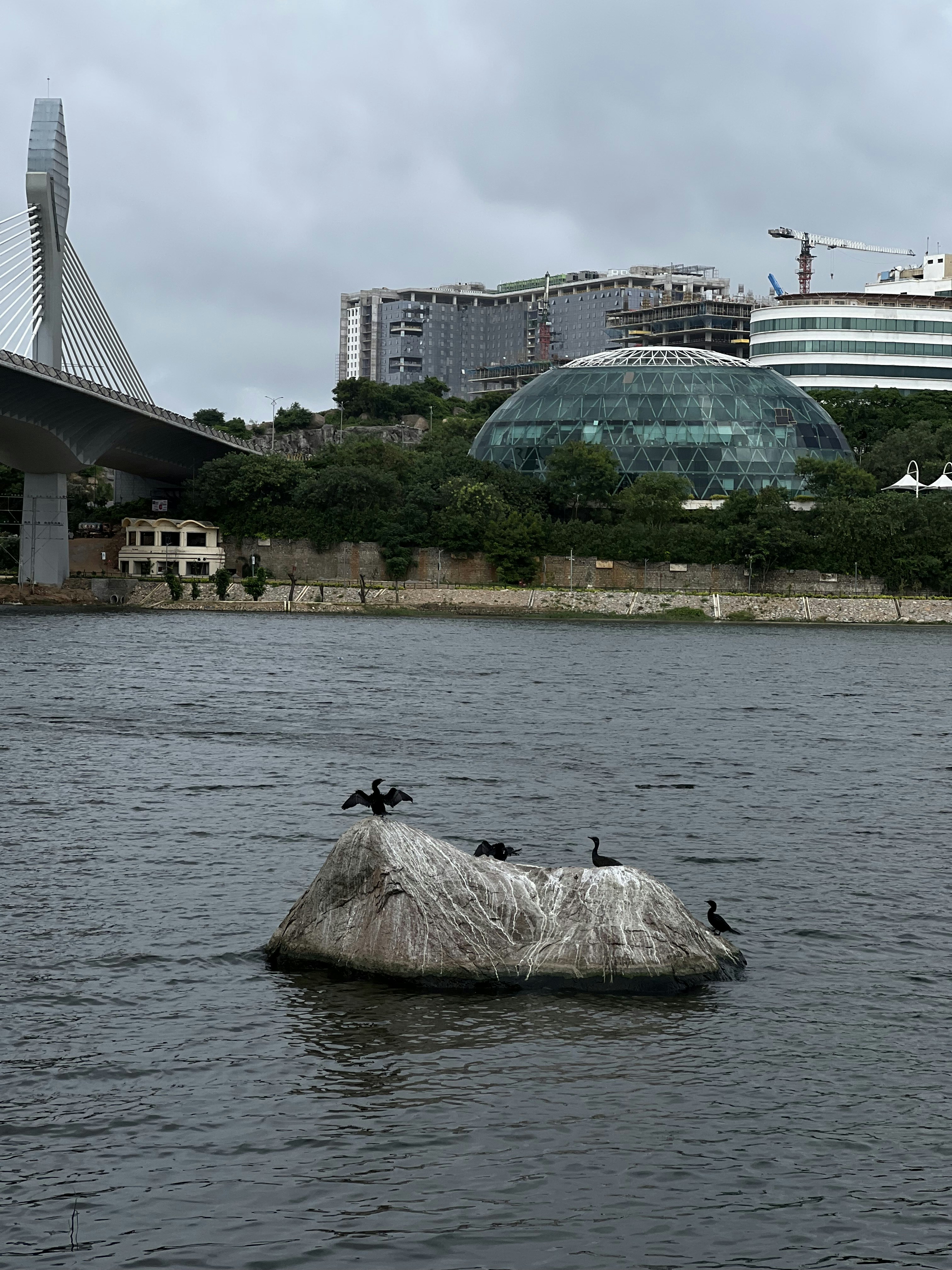 Perched on a Lone Rock: Birds and a Glass Dome Framing a Riverfront Scene