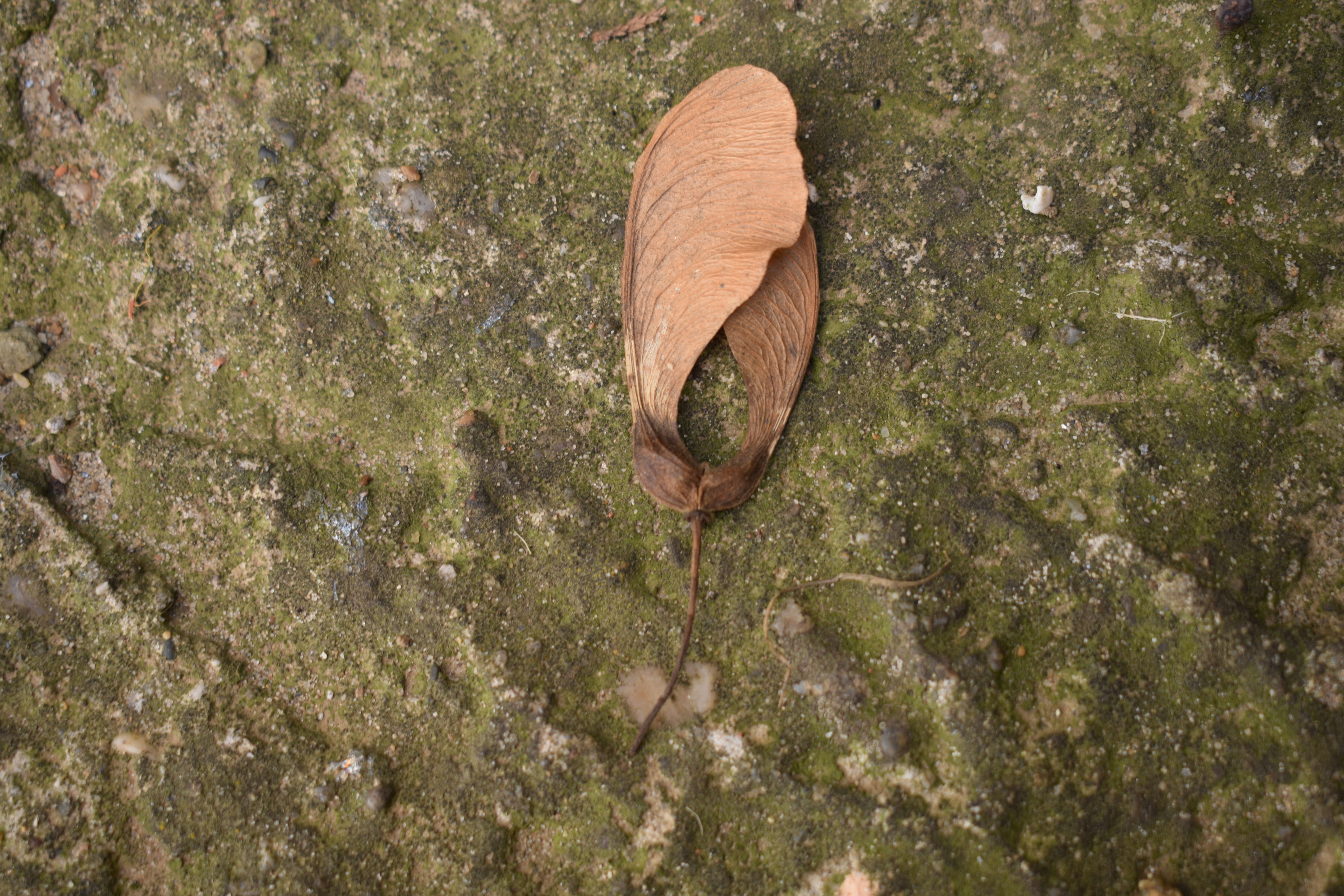 Photo by Marija Zaric with Nikon D5300