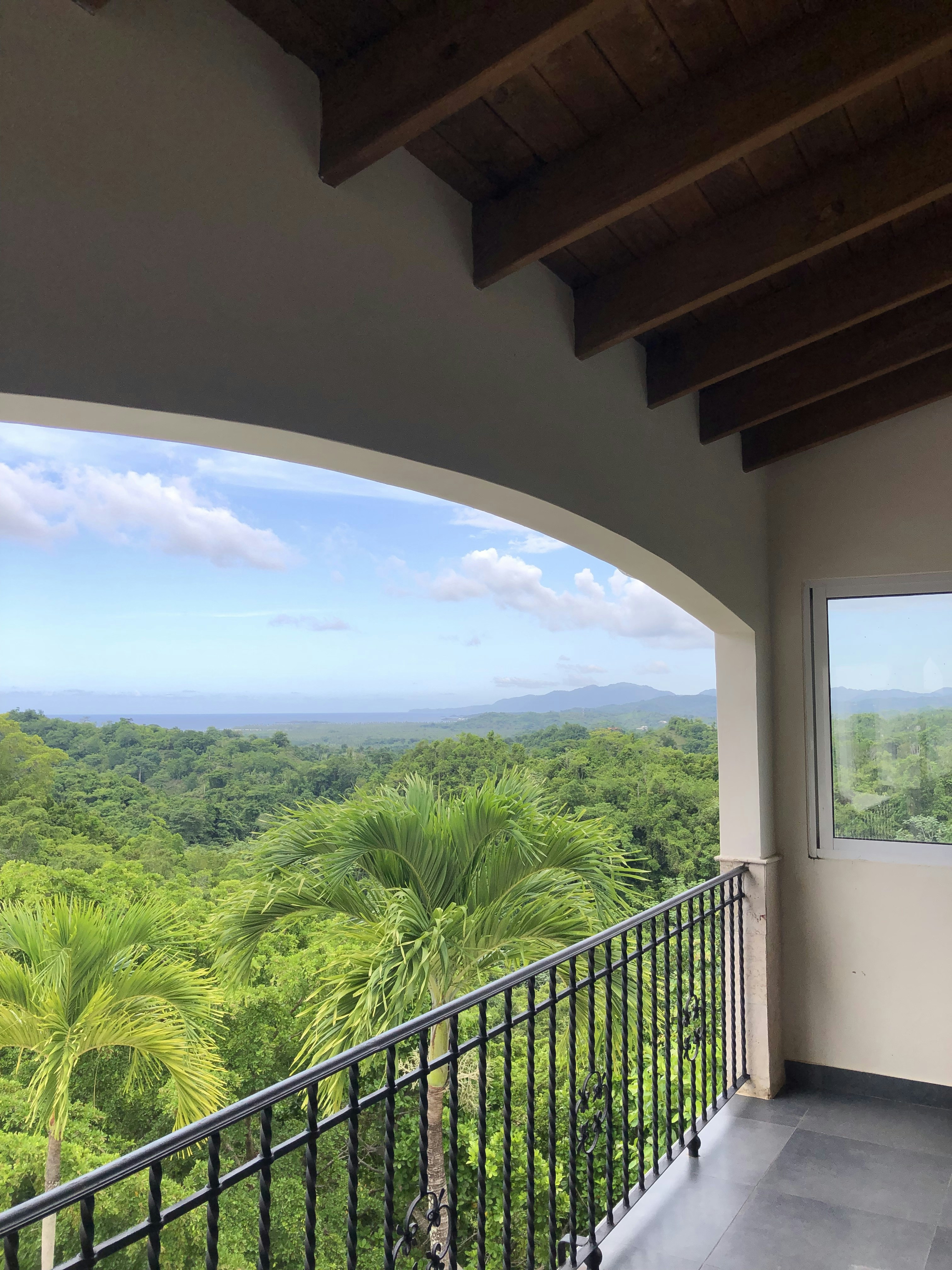 A balcony overlooking a forest photo – Free Las terrenas Image on Unsplash