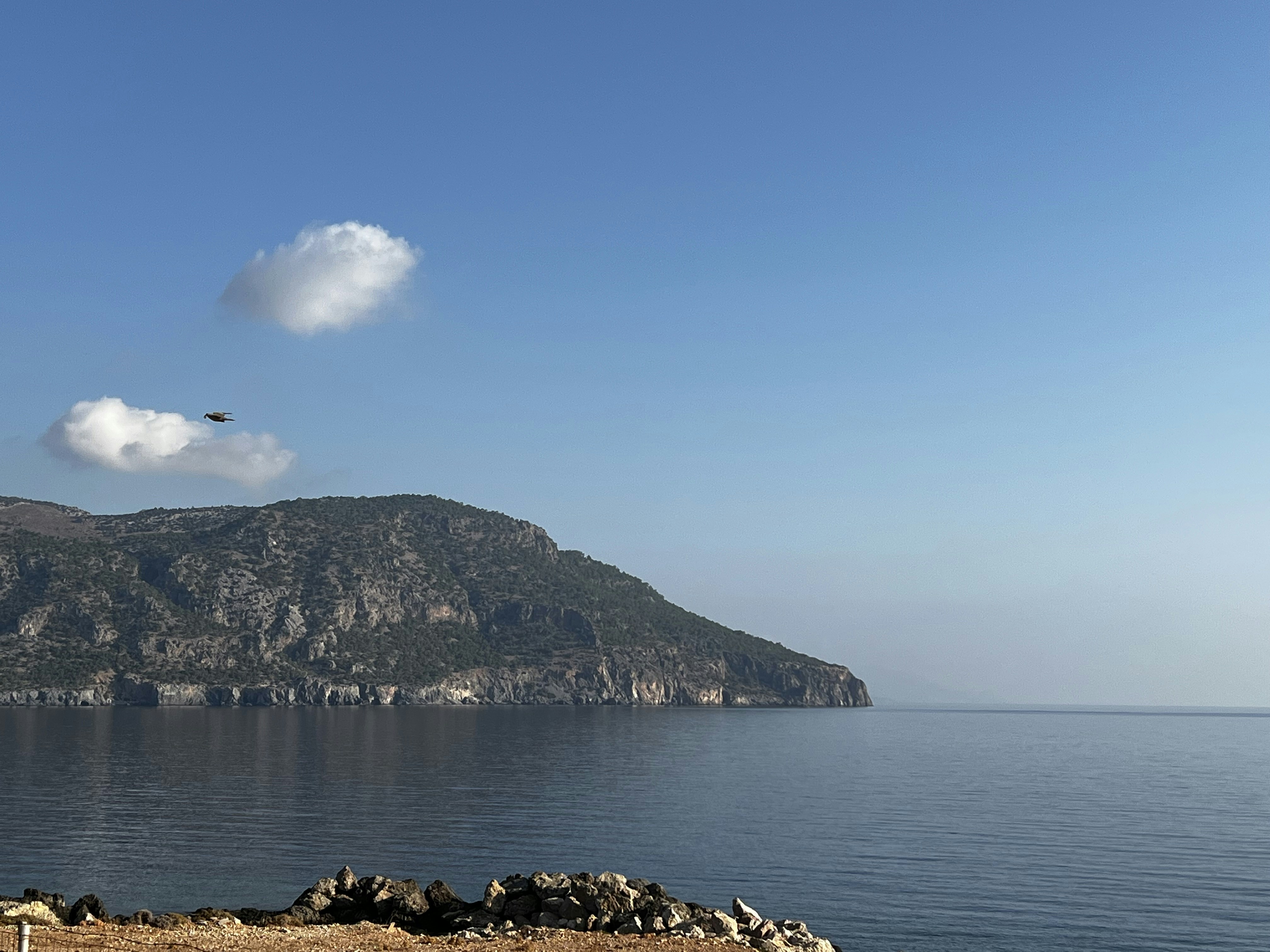 Rugged Promontory Meets a Glassy Sea Under a Clear SkyMichael Mitrakos