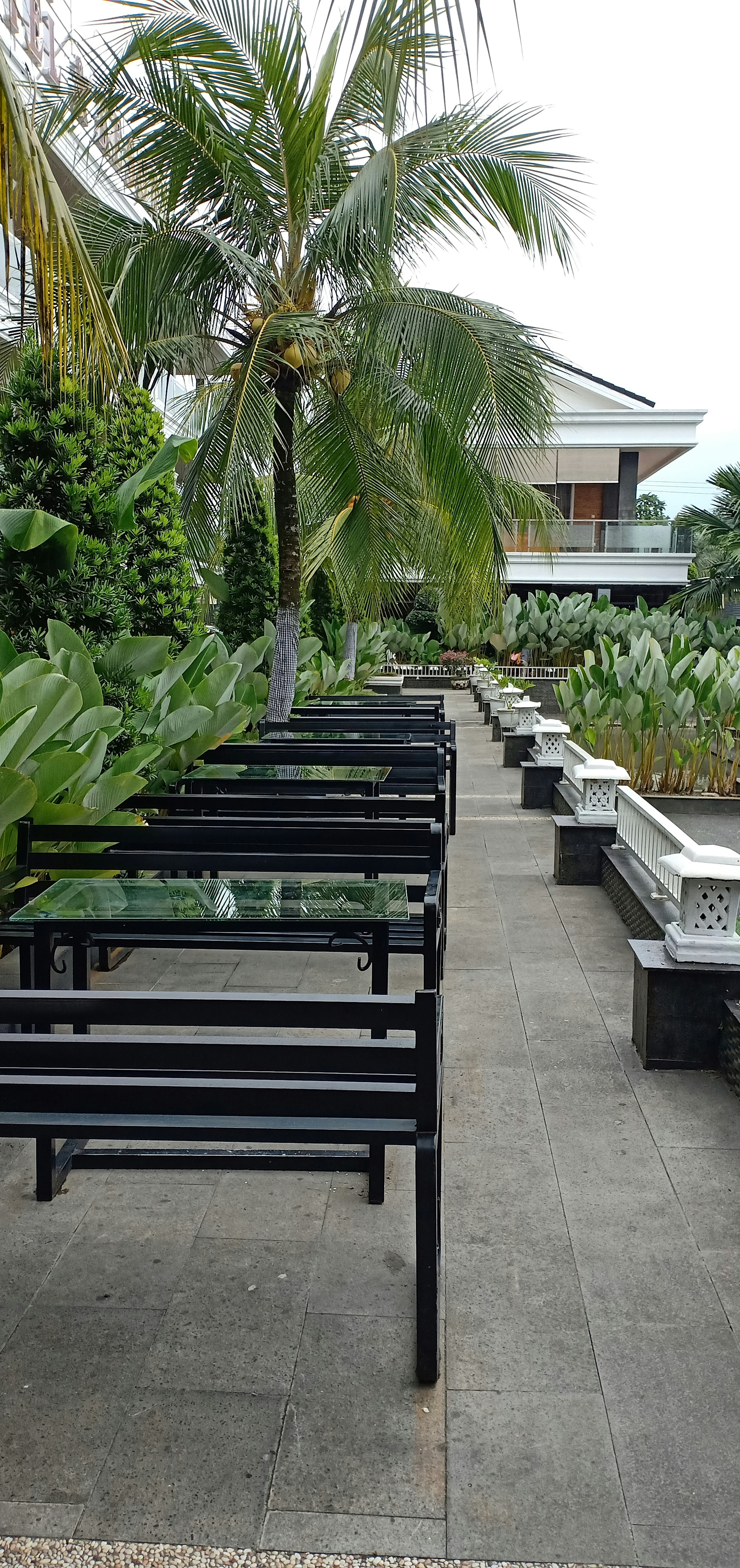 Modern terrace with black metal benches and glass-topped tables lines a palm-lined walkway. Tropical plants frame a contemporary building in the background.