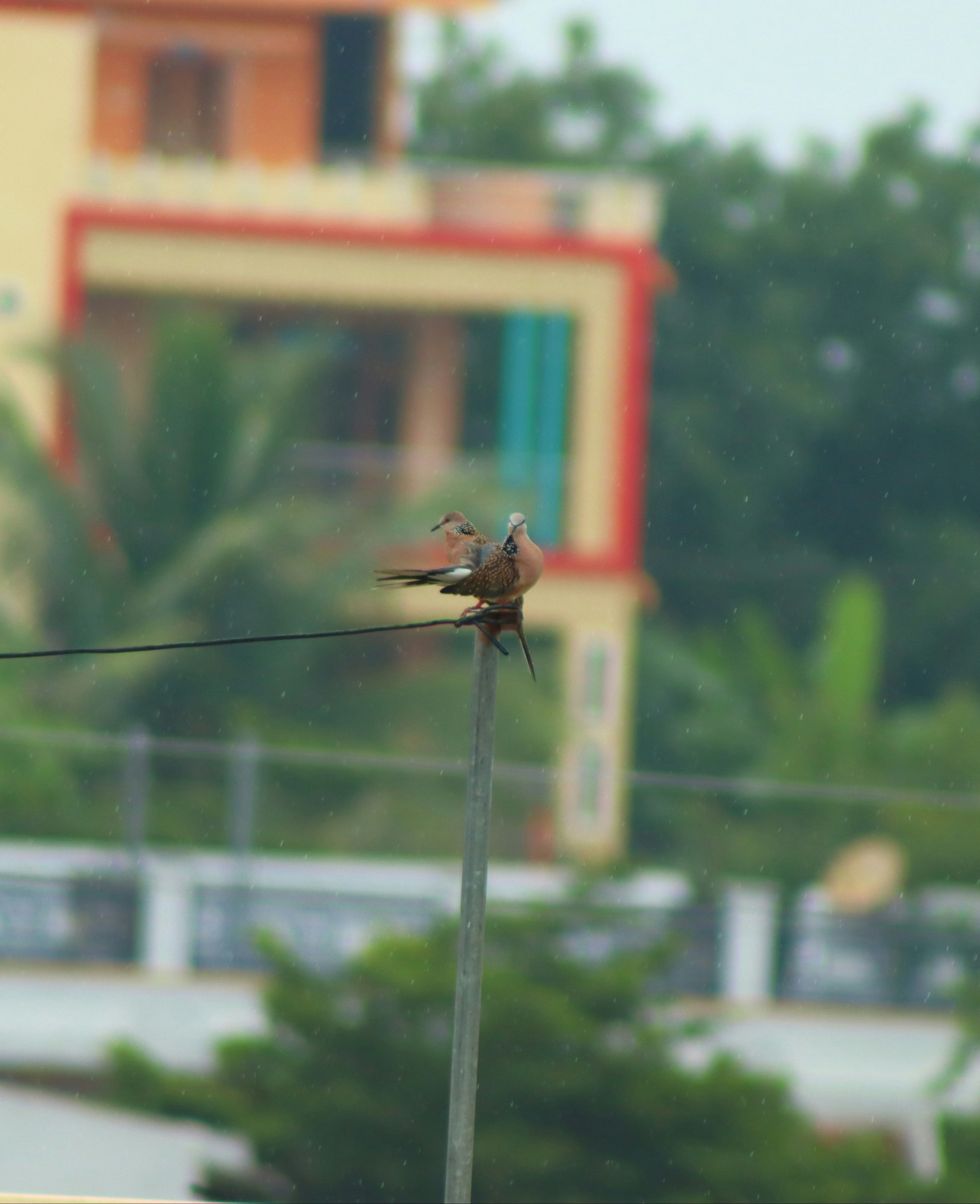 Photo by Ajay Aj with Canon EOS 250D