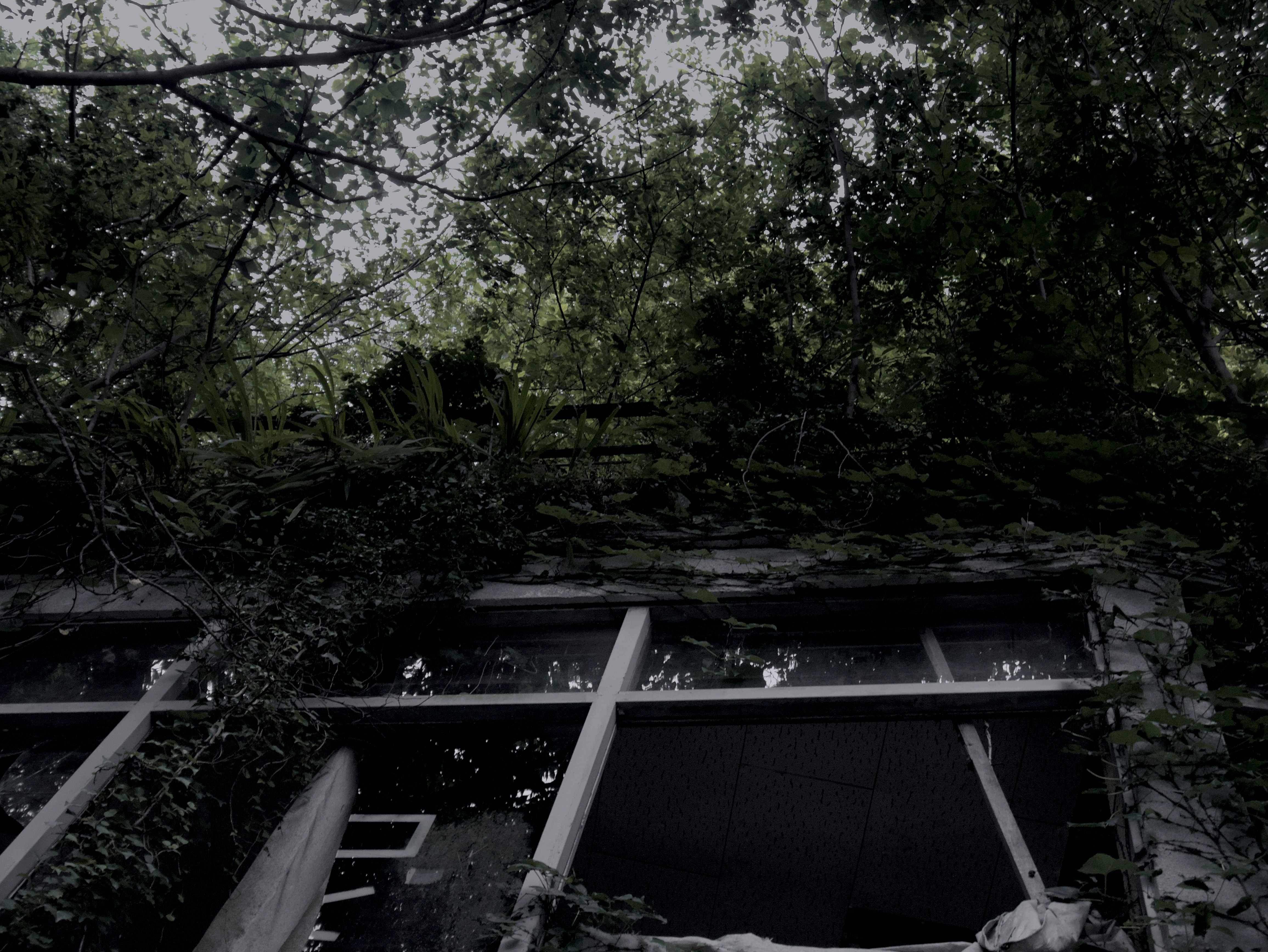 Photo by kuu akura with Panasonic Lumix G6