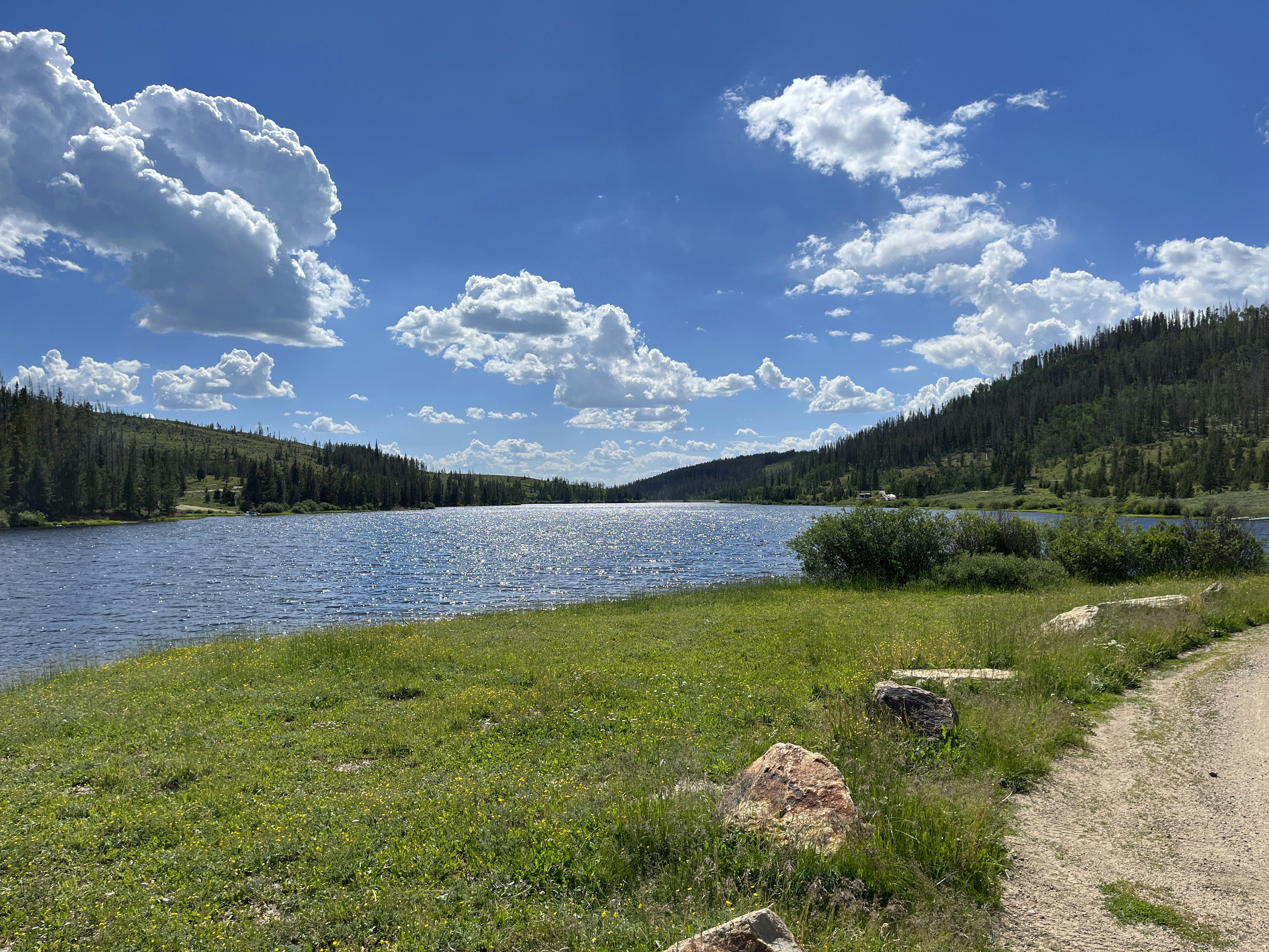 A blue sky day at North Michigan Reservoir, just over Cameron Pass at State Forest State Park in Colorado. | a lake surrounded by grass and trees