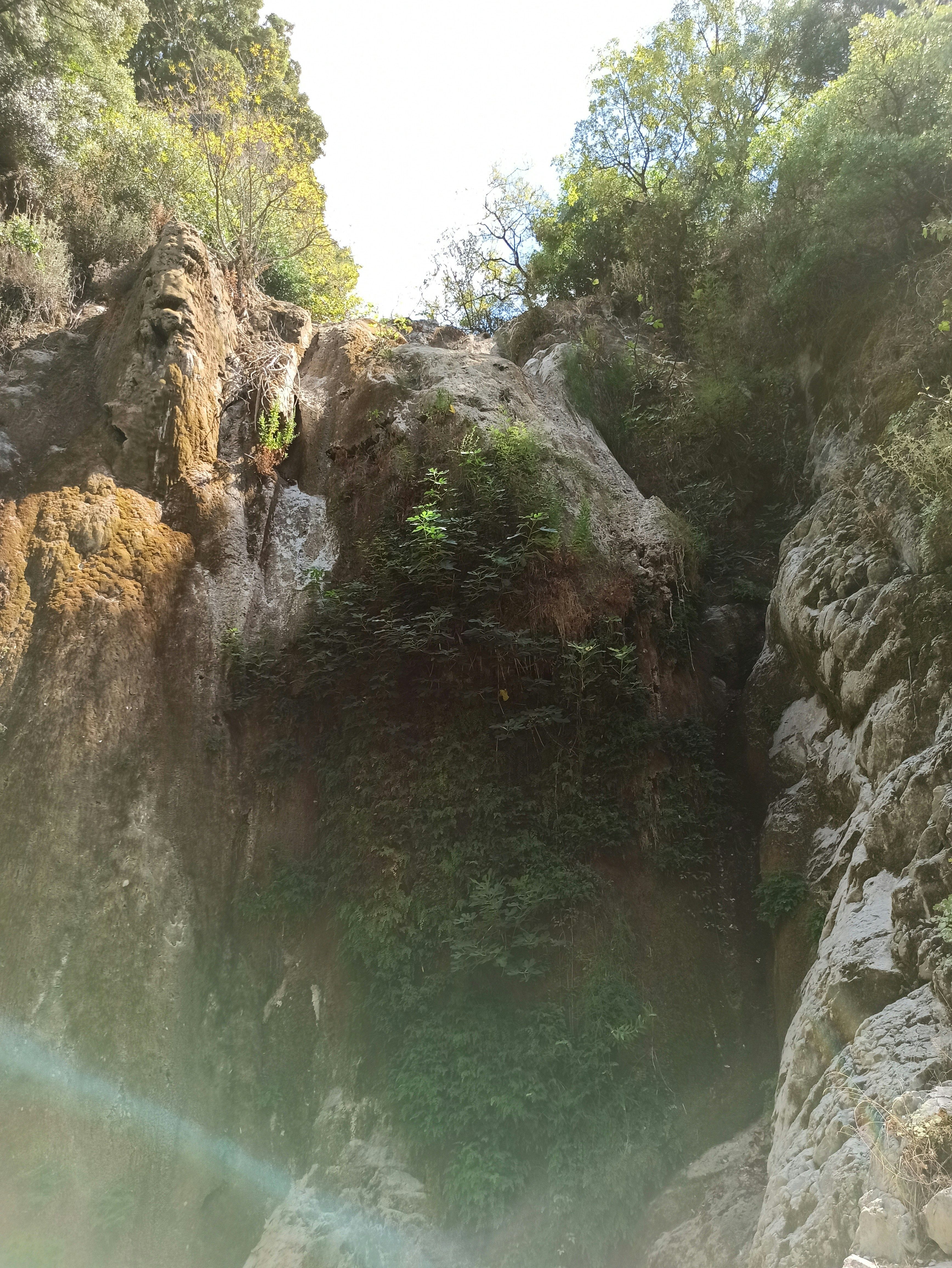 A rocky cliffside adorned with lush greenery, revealing a hidden waterfall surrounded by vibrant foliage.