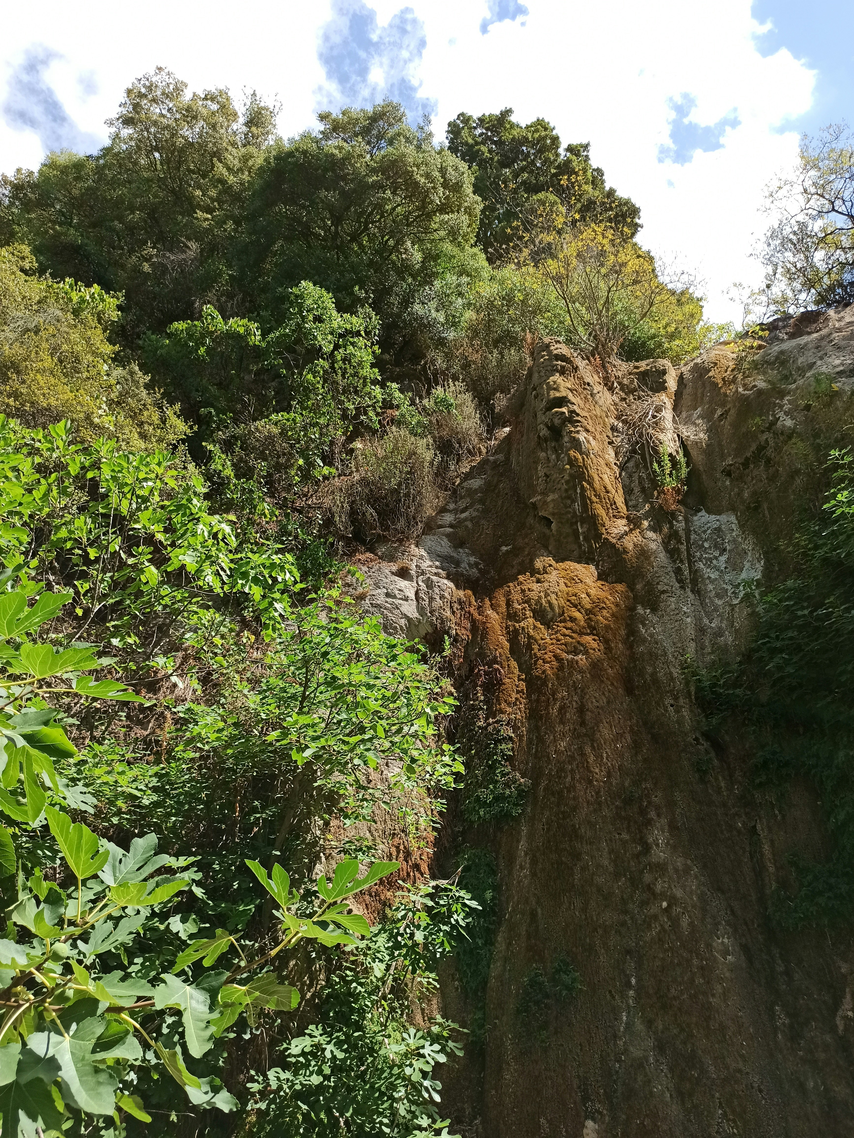 A rocky cliff with trees on it photo – Free Thinali Image on Unsplash