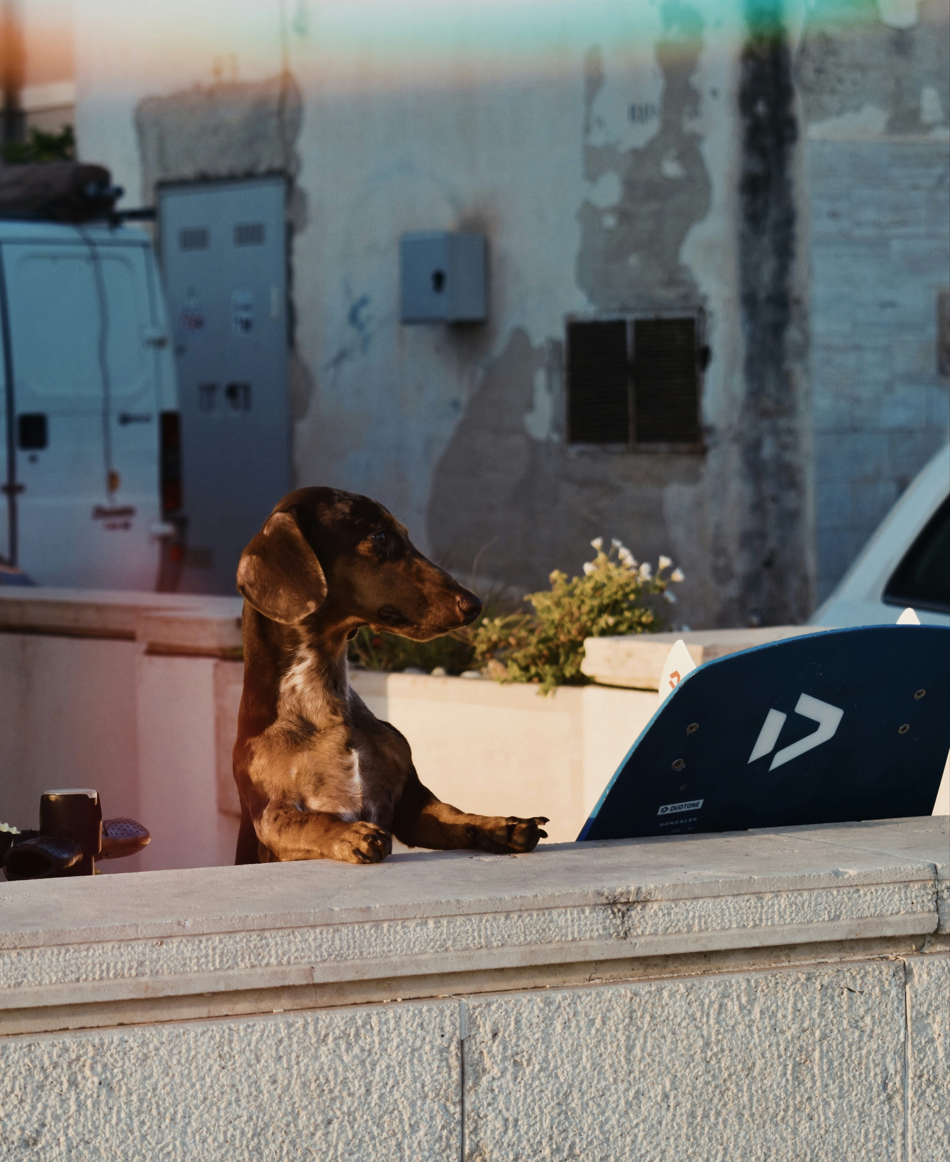 Photo by Pierre Boullier with Nikon D3400