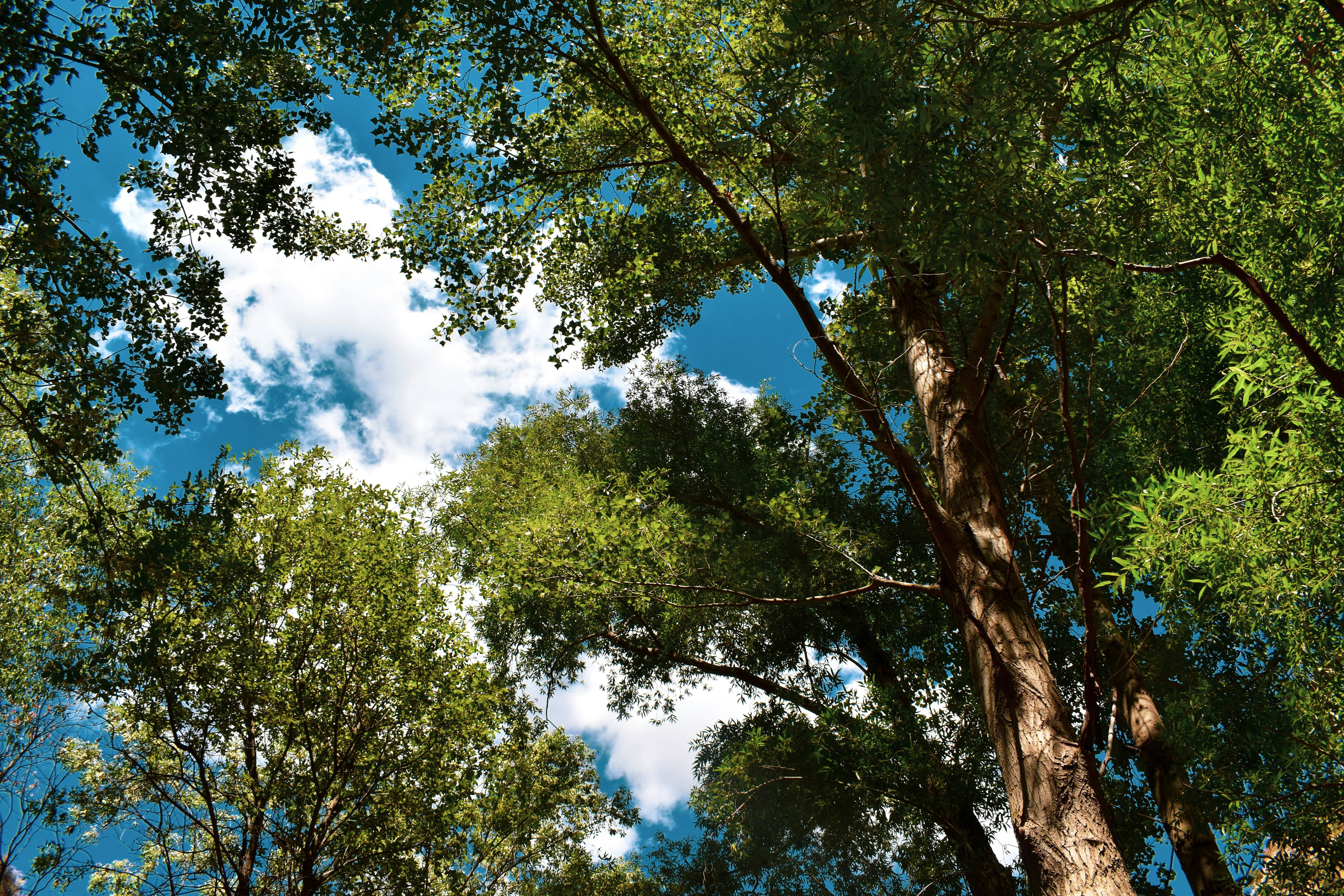 Photo by M Z with Nikon D3500