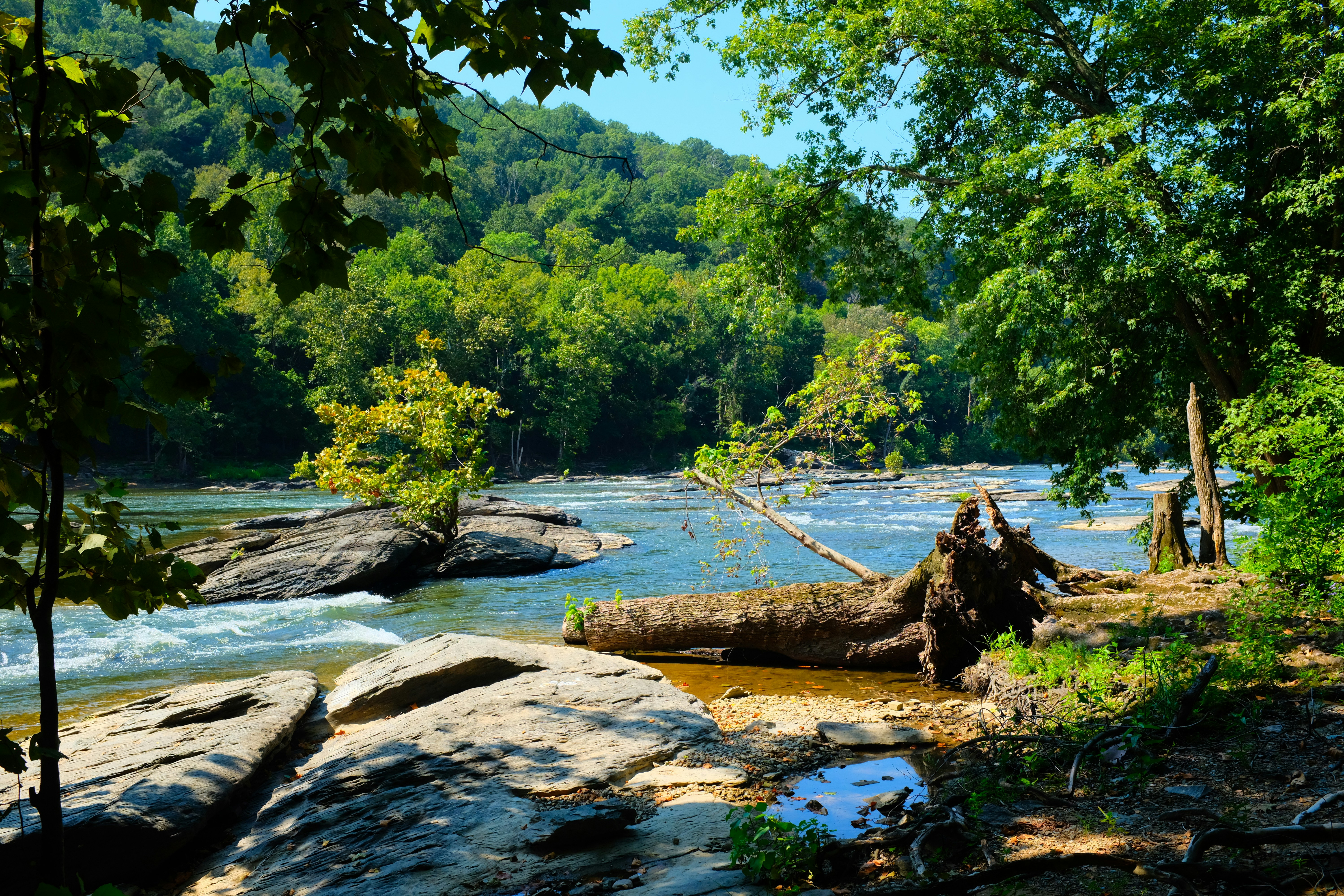 A river with rocks and trees photo – Free Harpers ferry Image on Unsplash