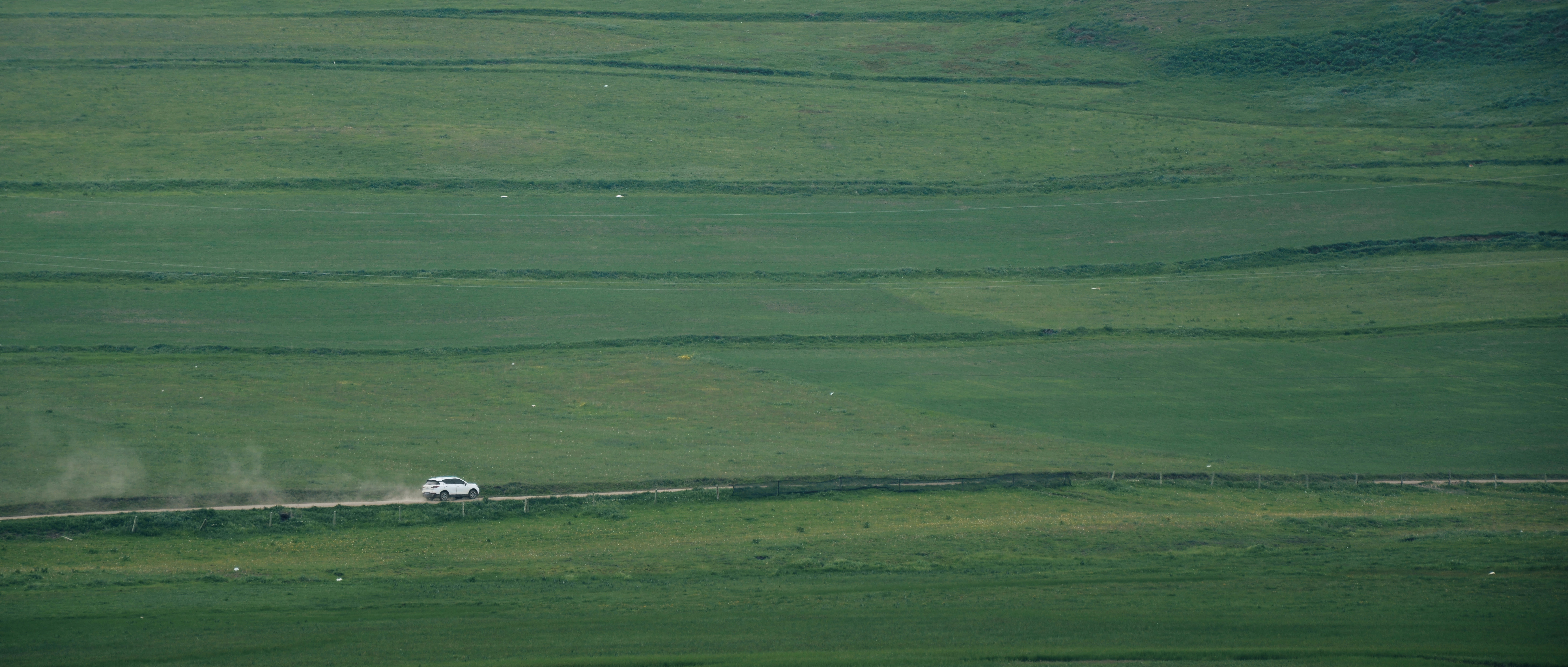 Dusty White Car on a Narrow Green Highway