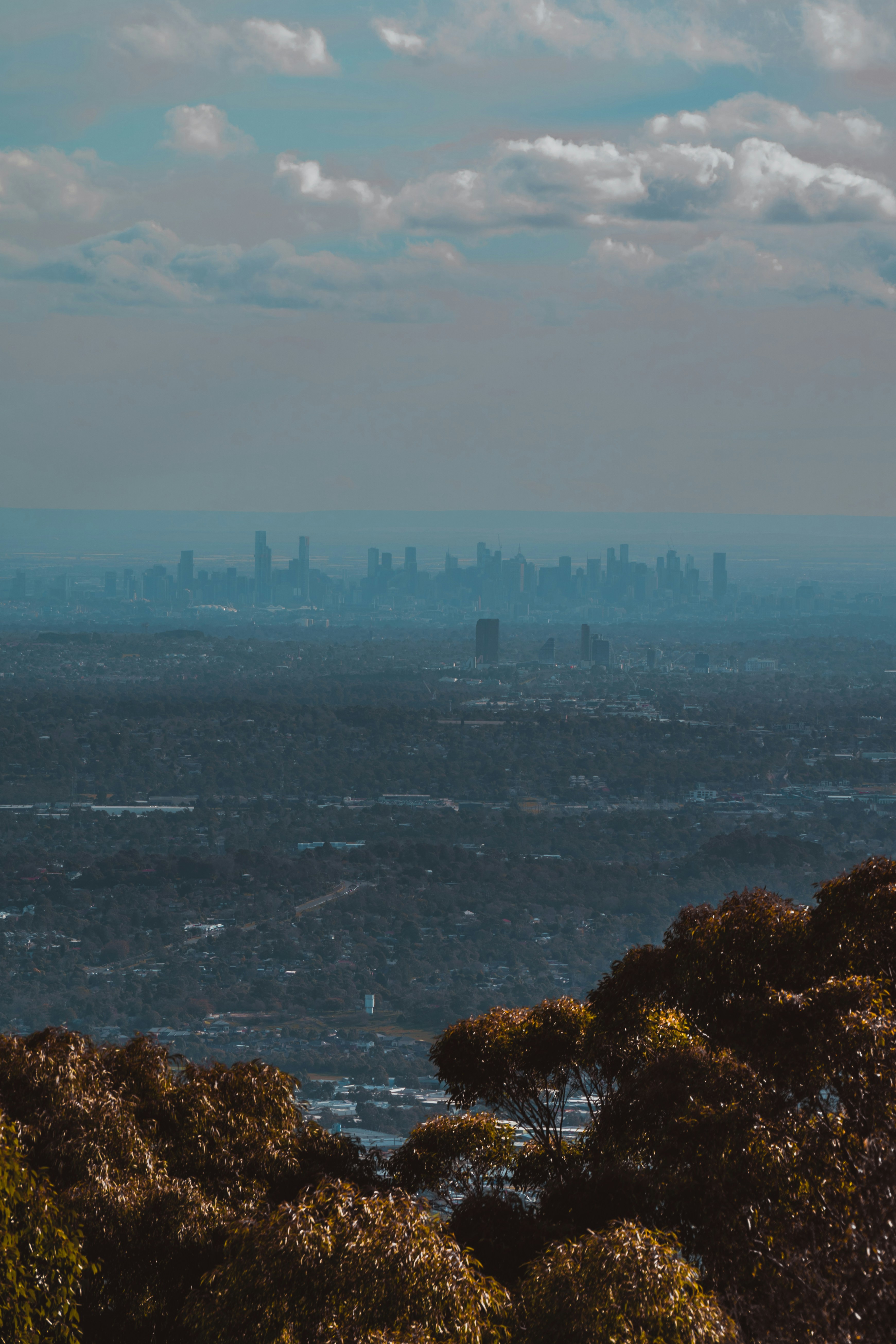 Hazy Horizon: Distant Skyline Seen From a Verdant Ridge