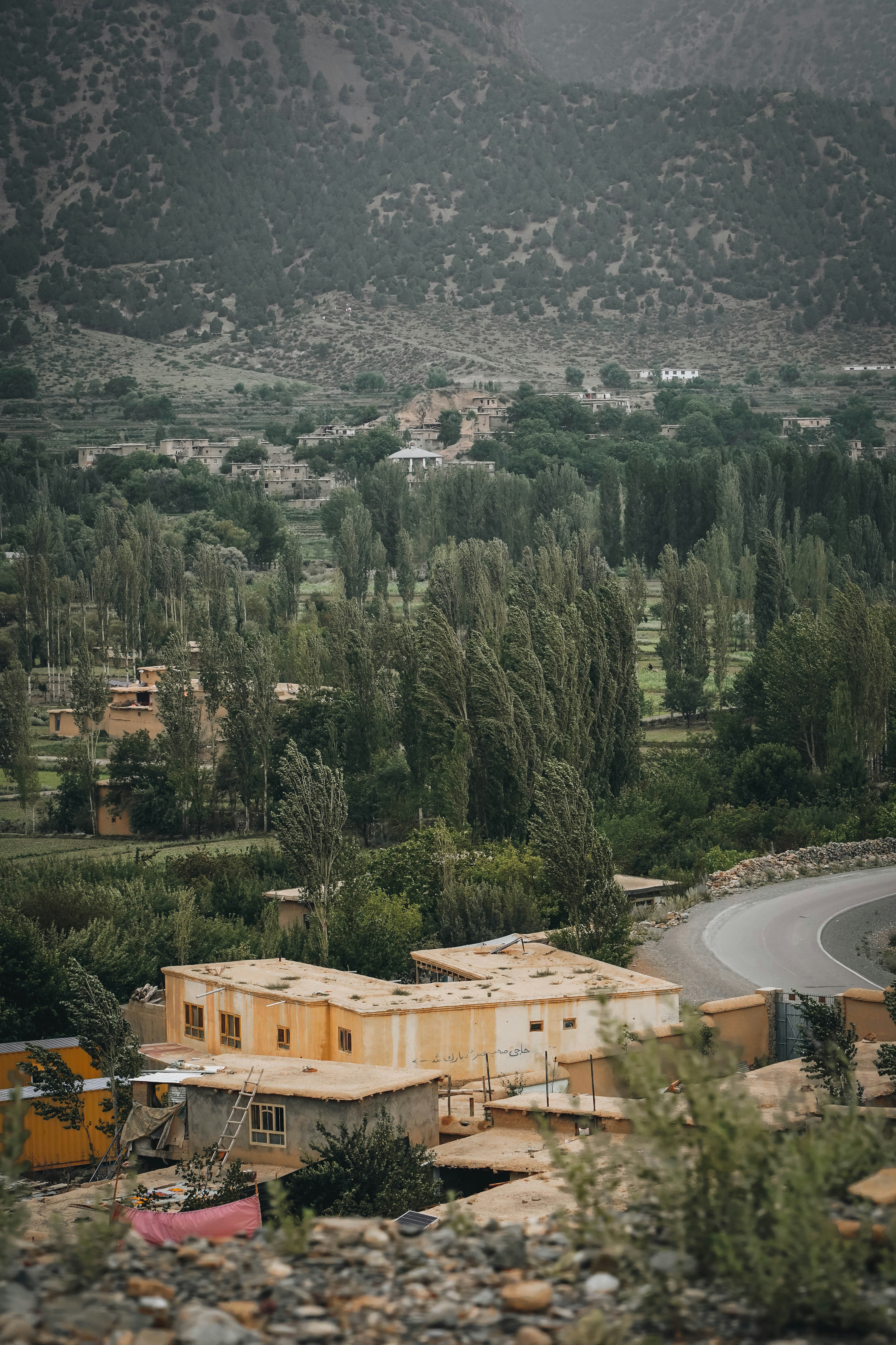 Hillside Haven: A Quiet Village Framed by Pines and a Winding Road