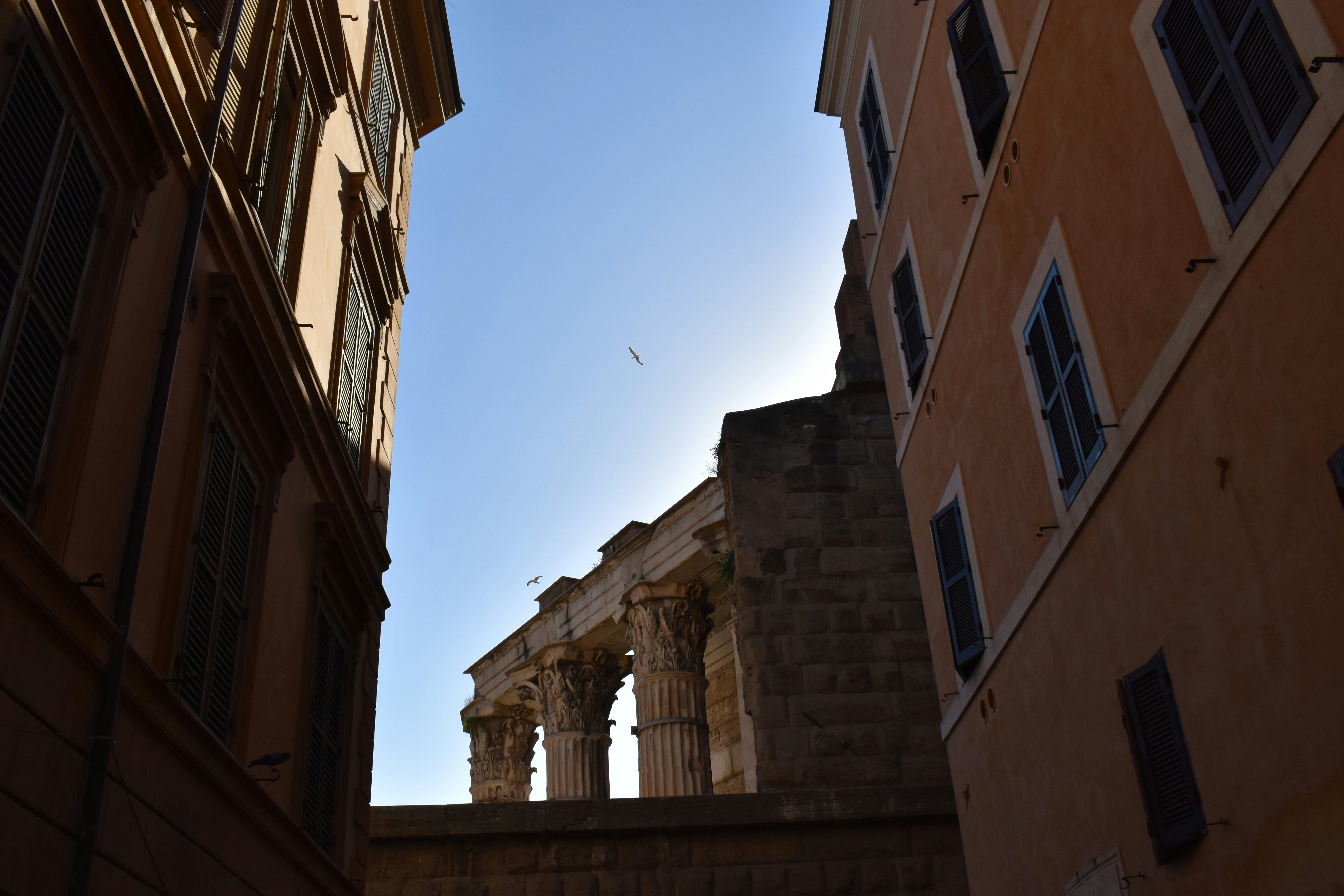 Between City Shadows: Sunlit Ruins Framed by a Narrow Alley