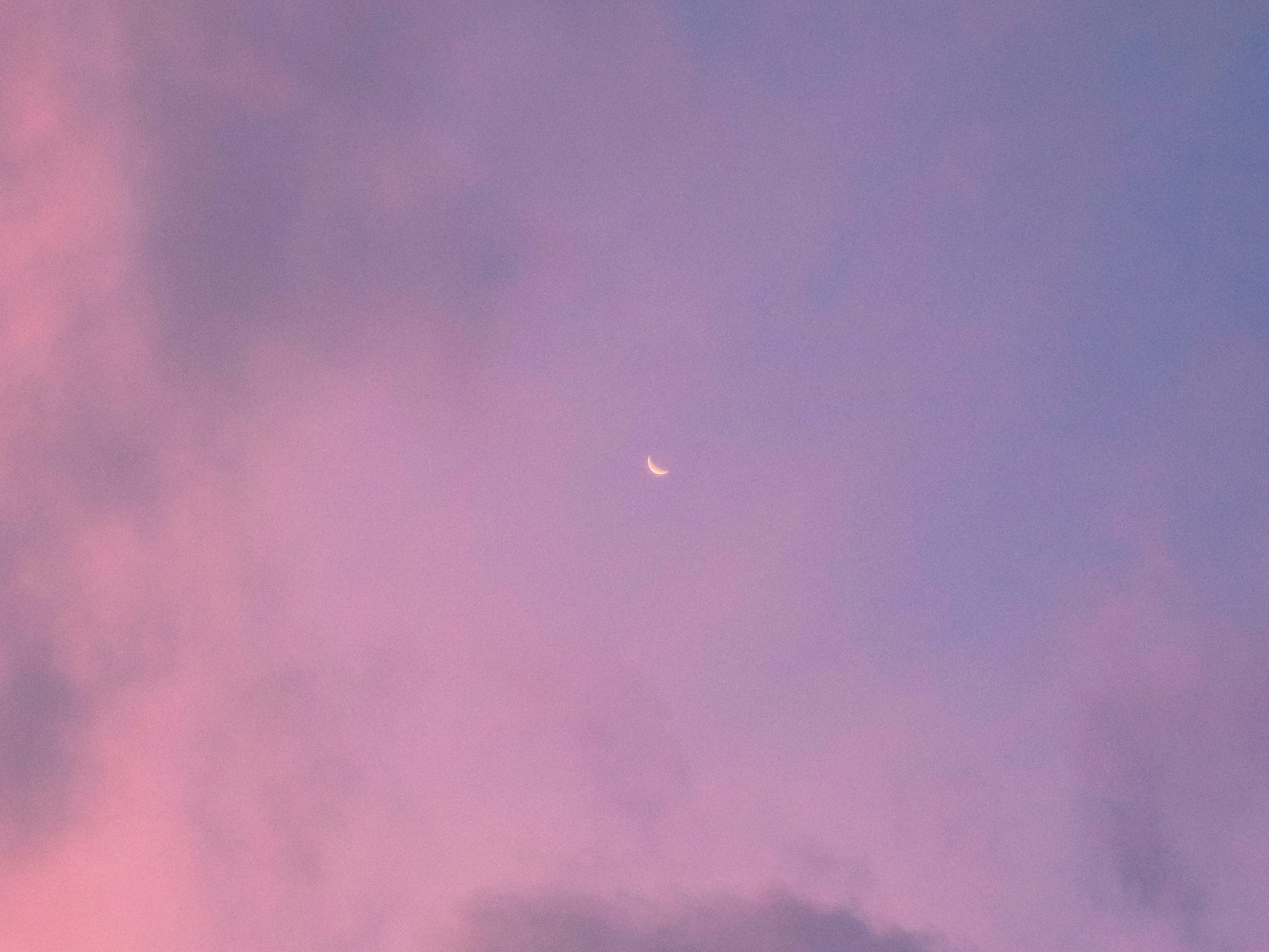 Pink Aesthetic Desktop Pictures | Download Free Images on Unsplash