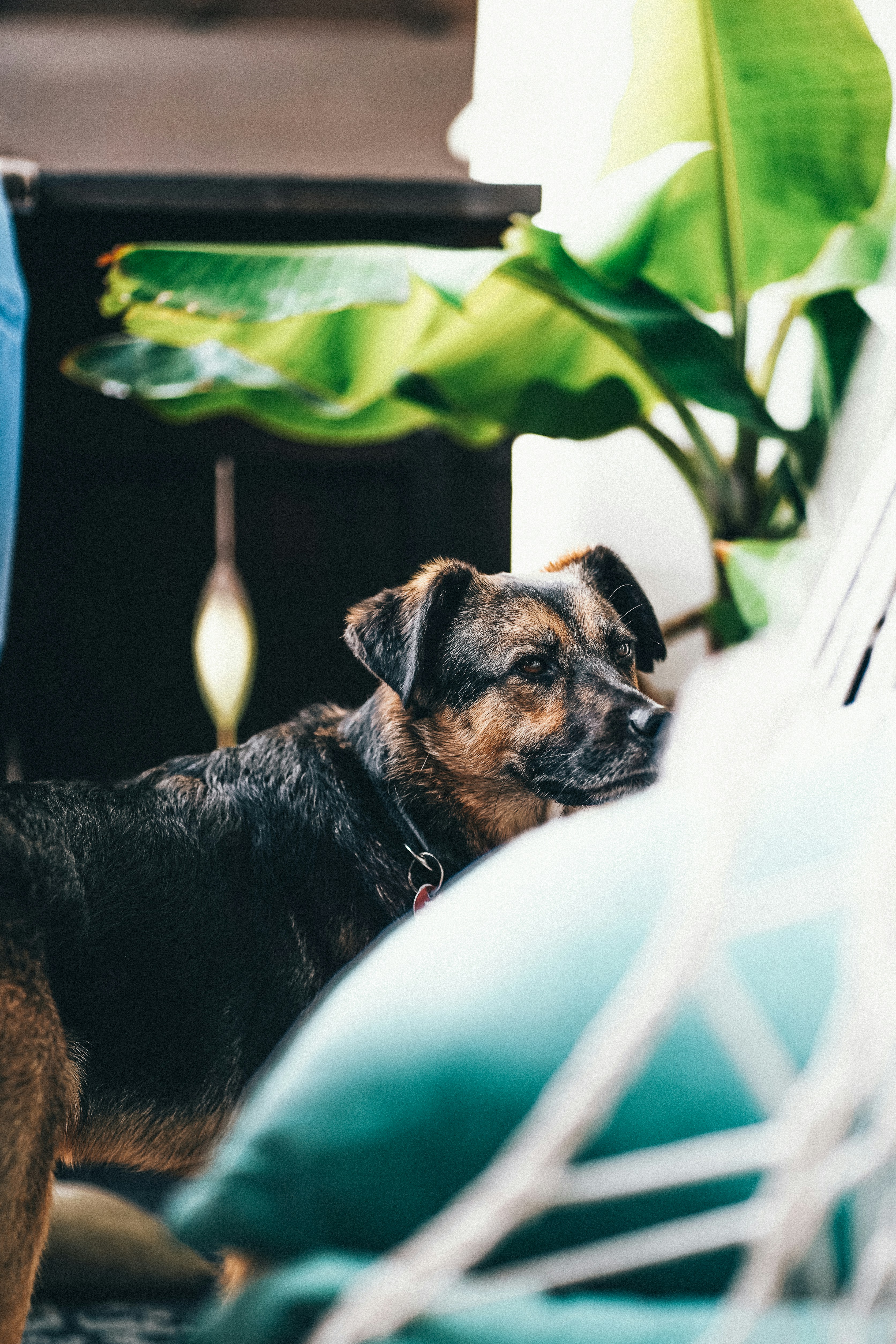 Yannick Fäth (@tschannikov) | Unsplash Photo Community