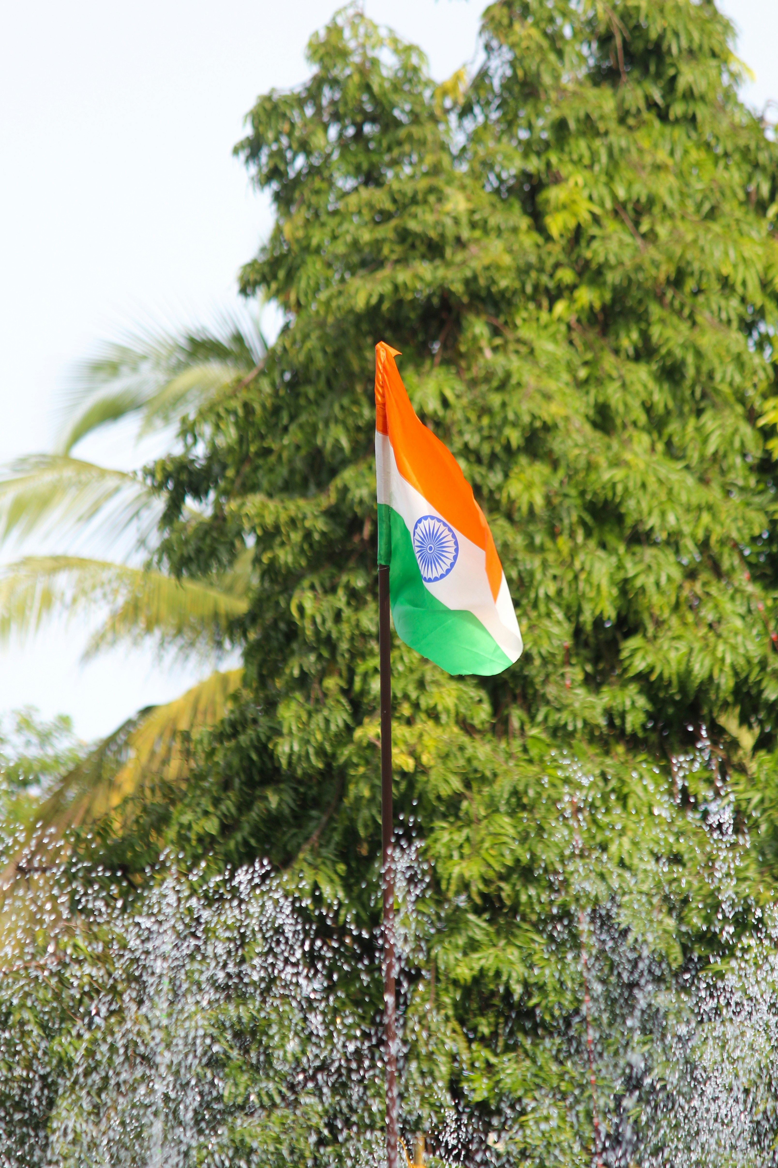 Flag of India Rising Above a Green Canopy