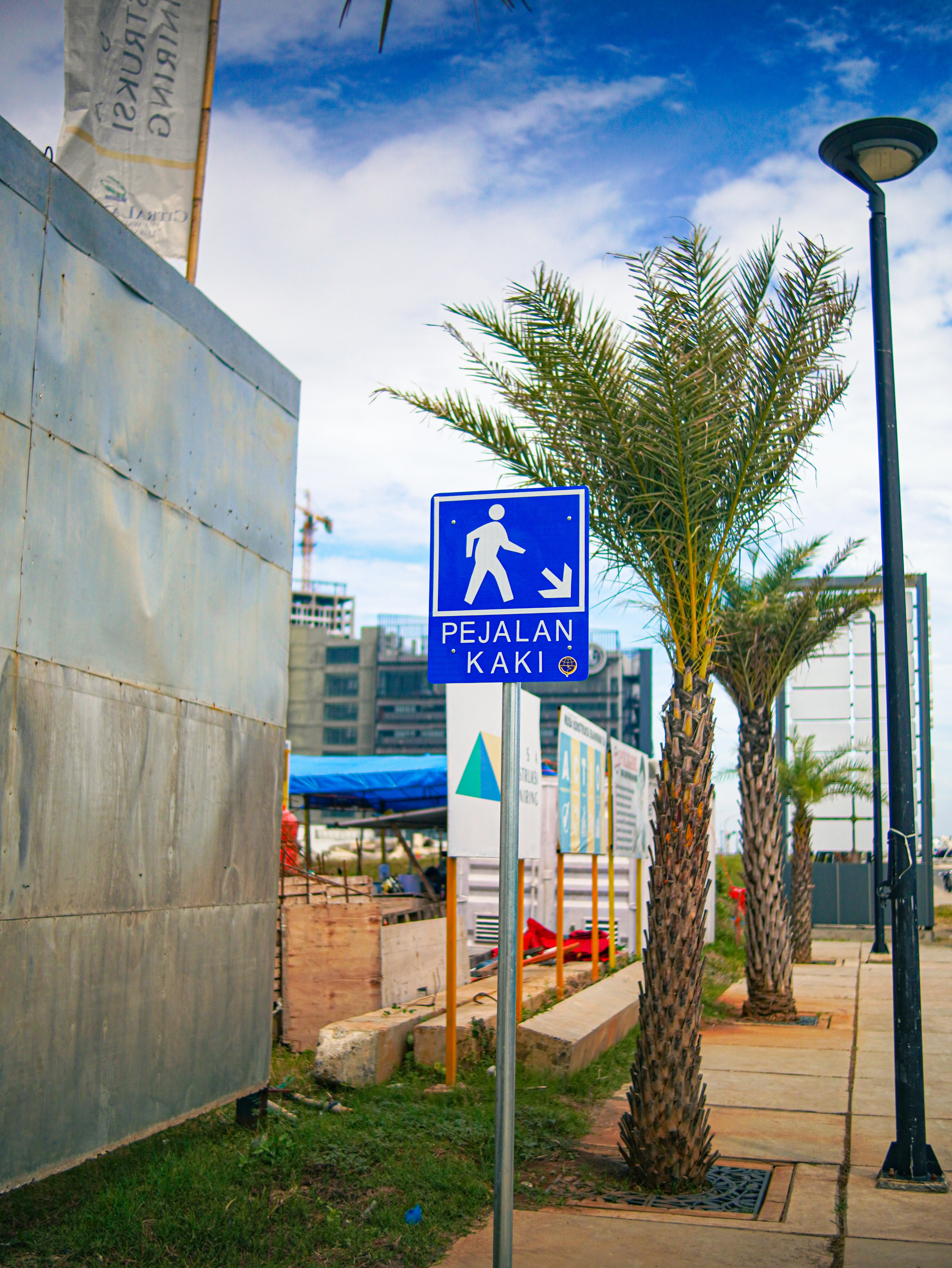 Blue Crosswalk Sign Framed by Palm Trees and Construction