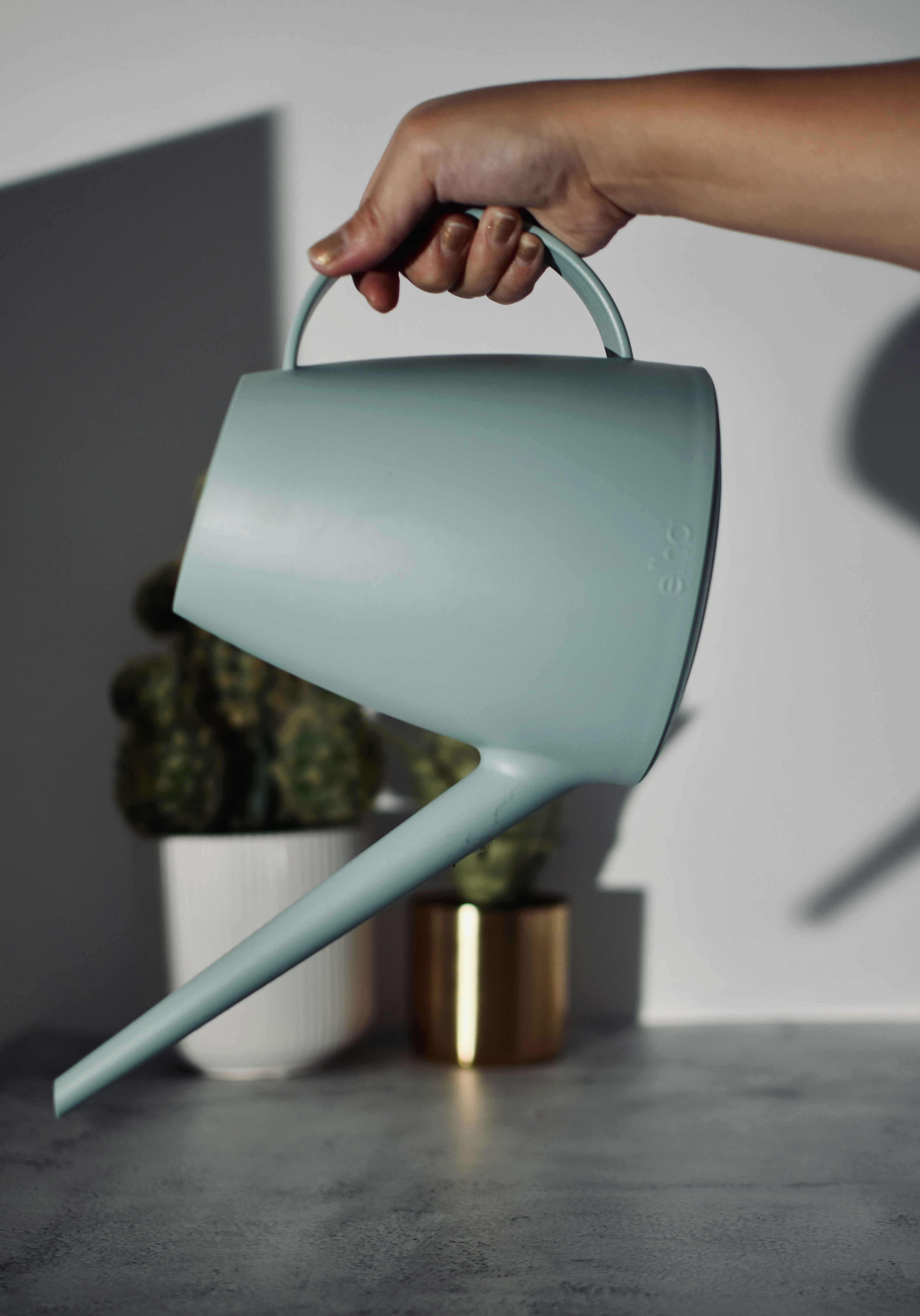 30k+ Watering Can Pictures | Download Free Images on Unsplash