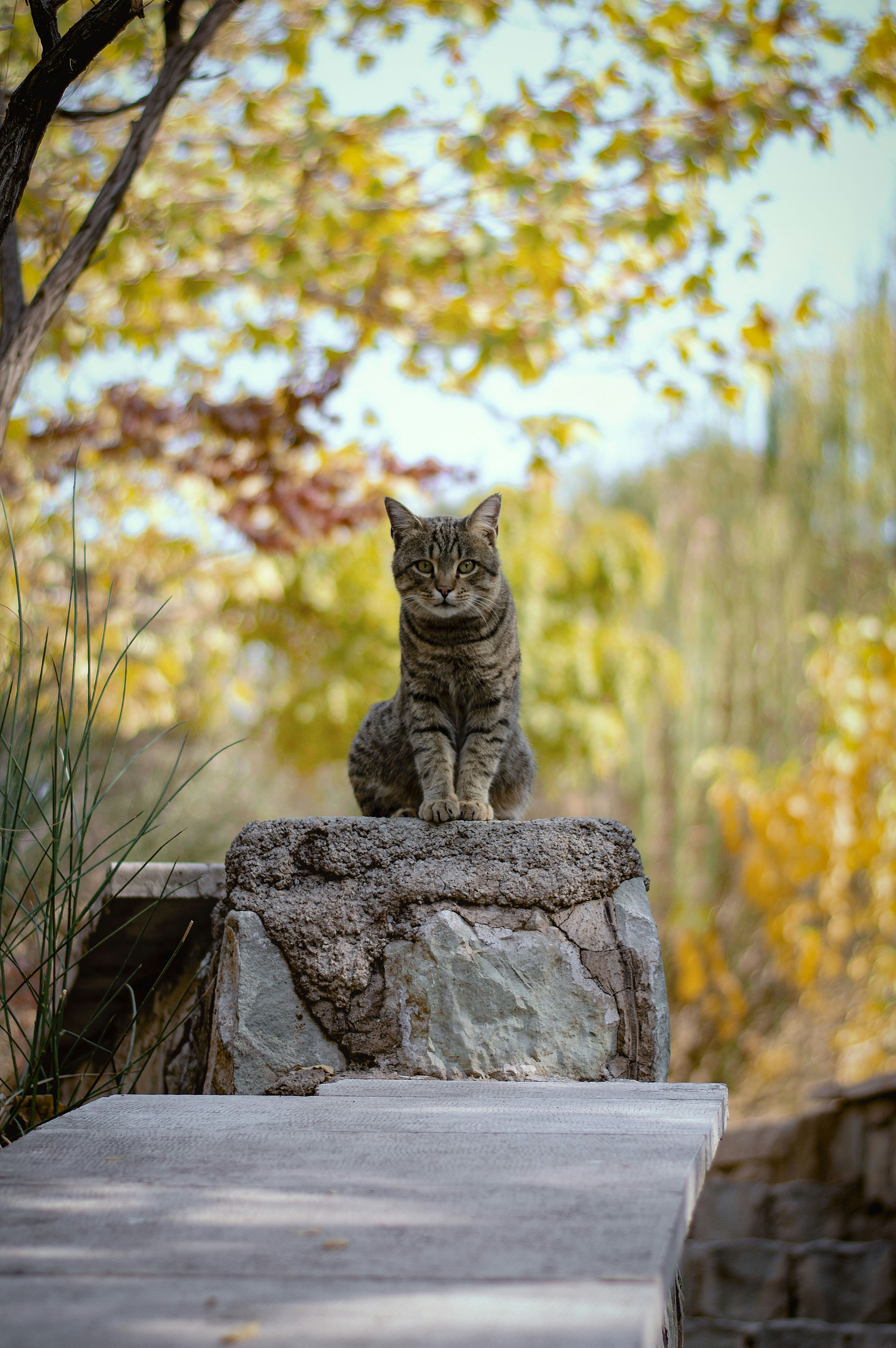 Photo by Ahmad Pishnamazi with Nikon D3200