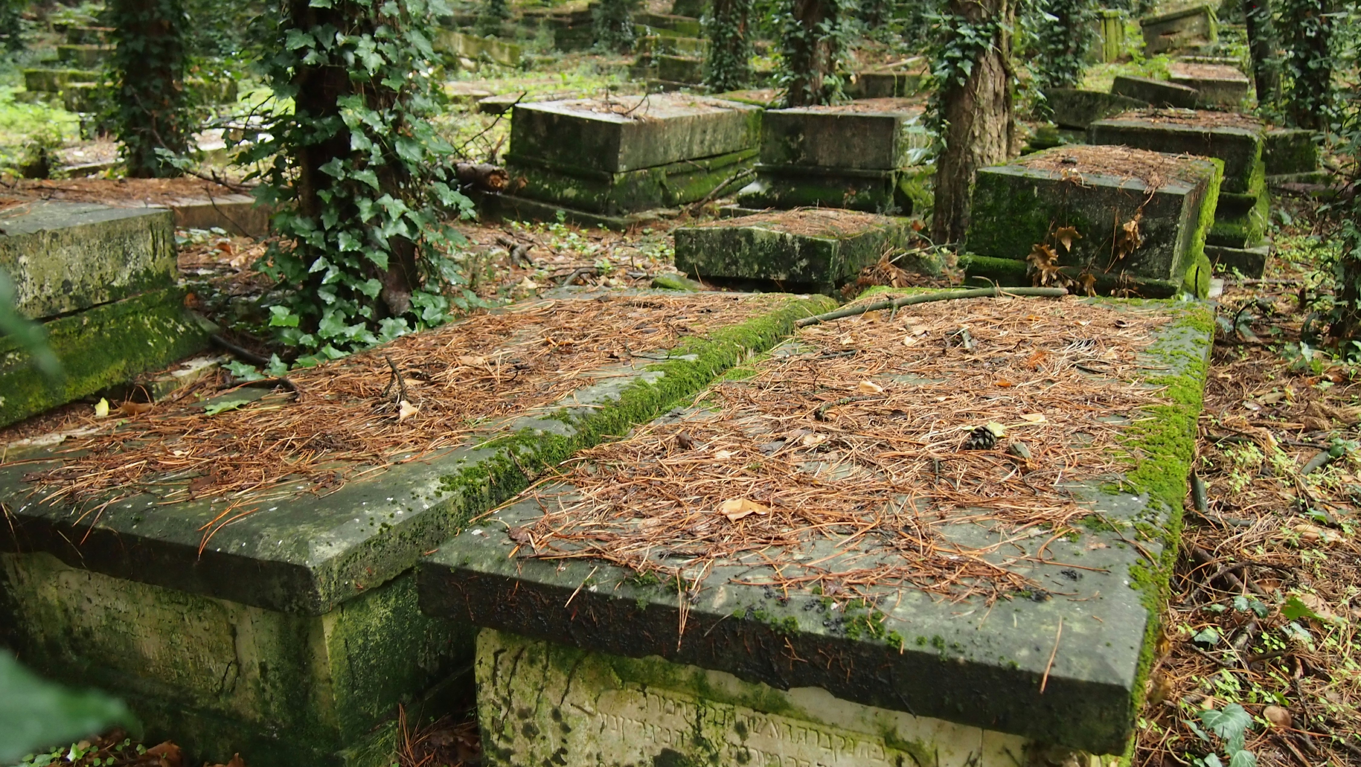 At the Loneliest Corner of Detroit, I Find the Loneliest Jewish ...