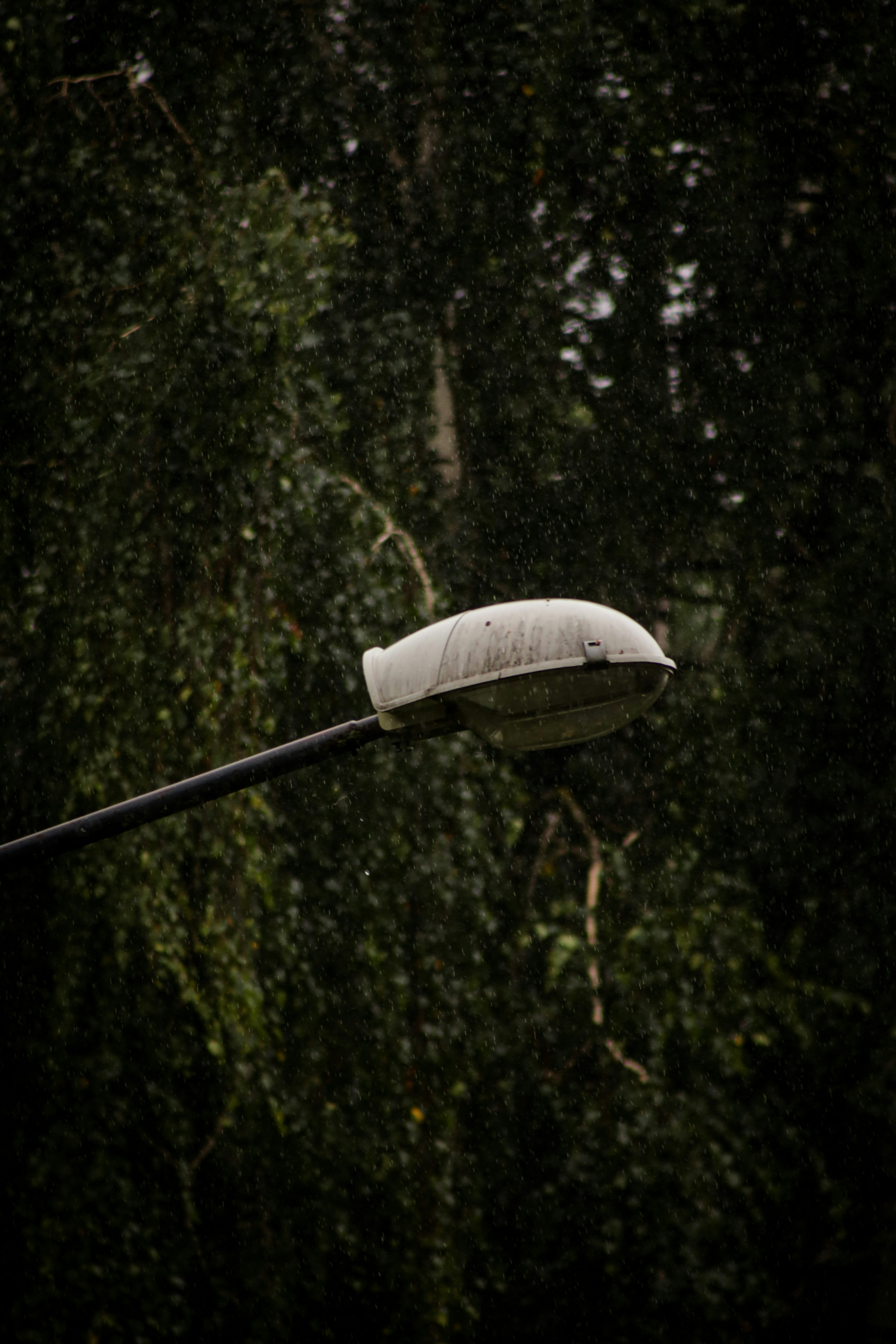 A solitary streetlamp endures a winter snowfall under a dark canopy