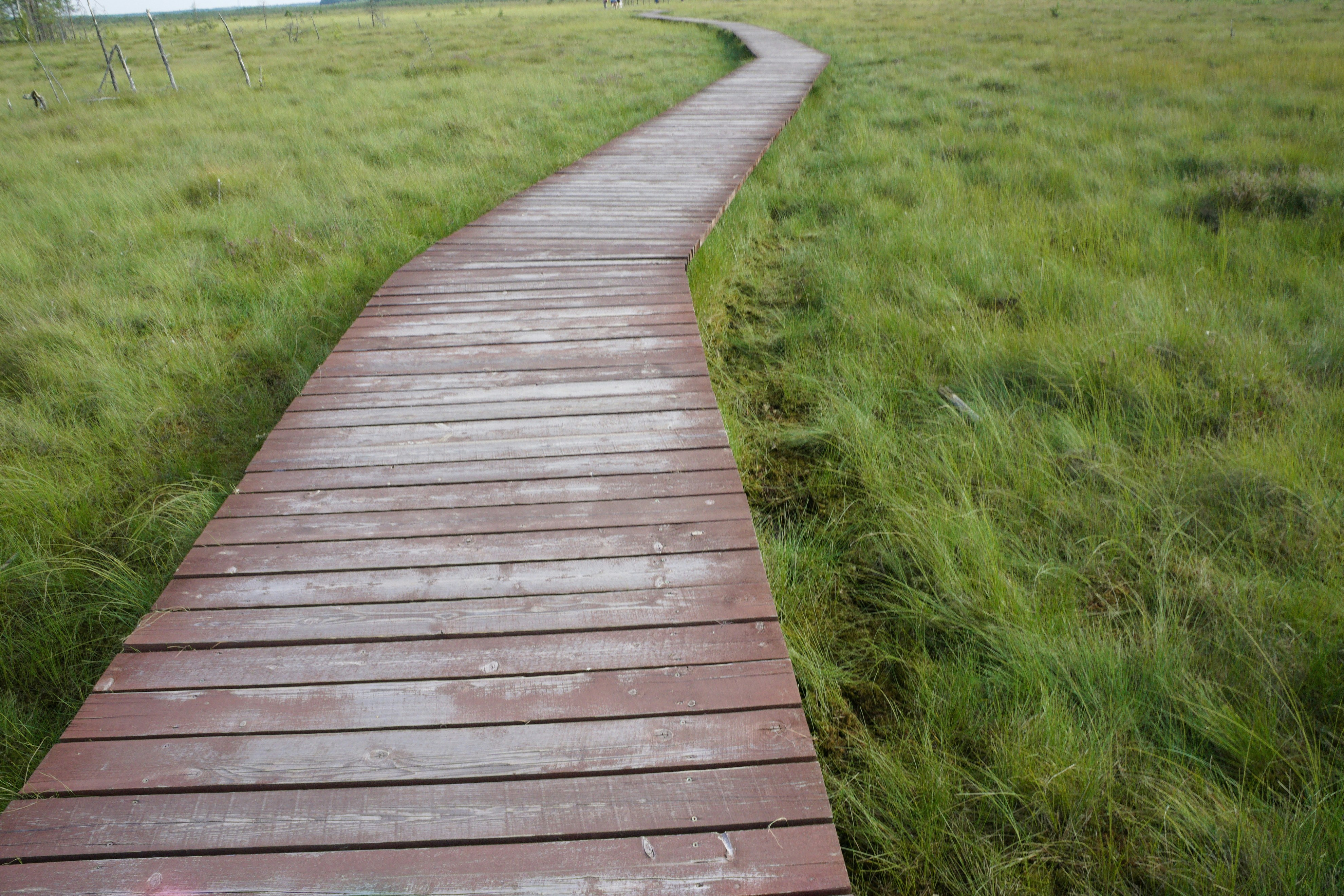 Photo by Nikita Karpov with Sony Alpha 7C