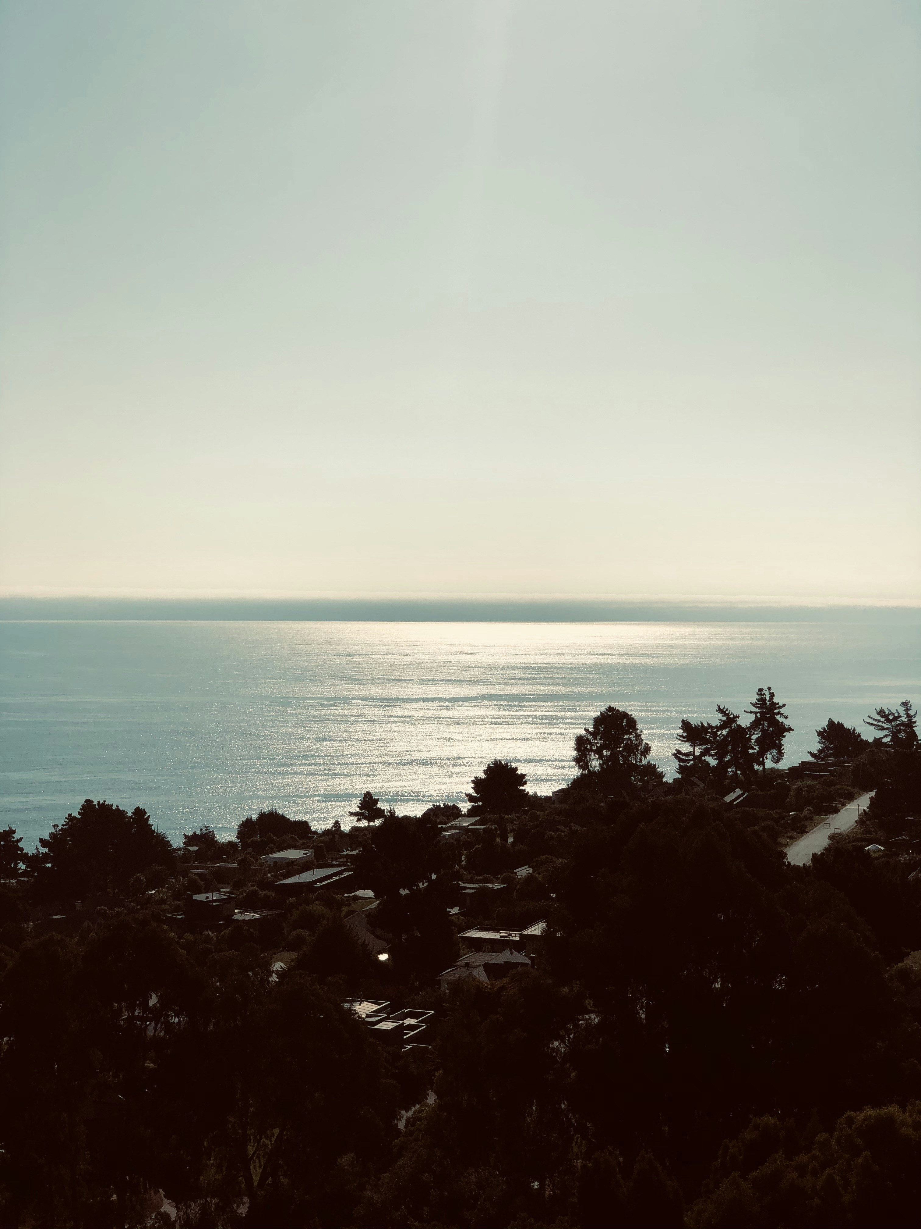 Horizon Gleam Over a Pine-Lined Coastal Ridge