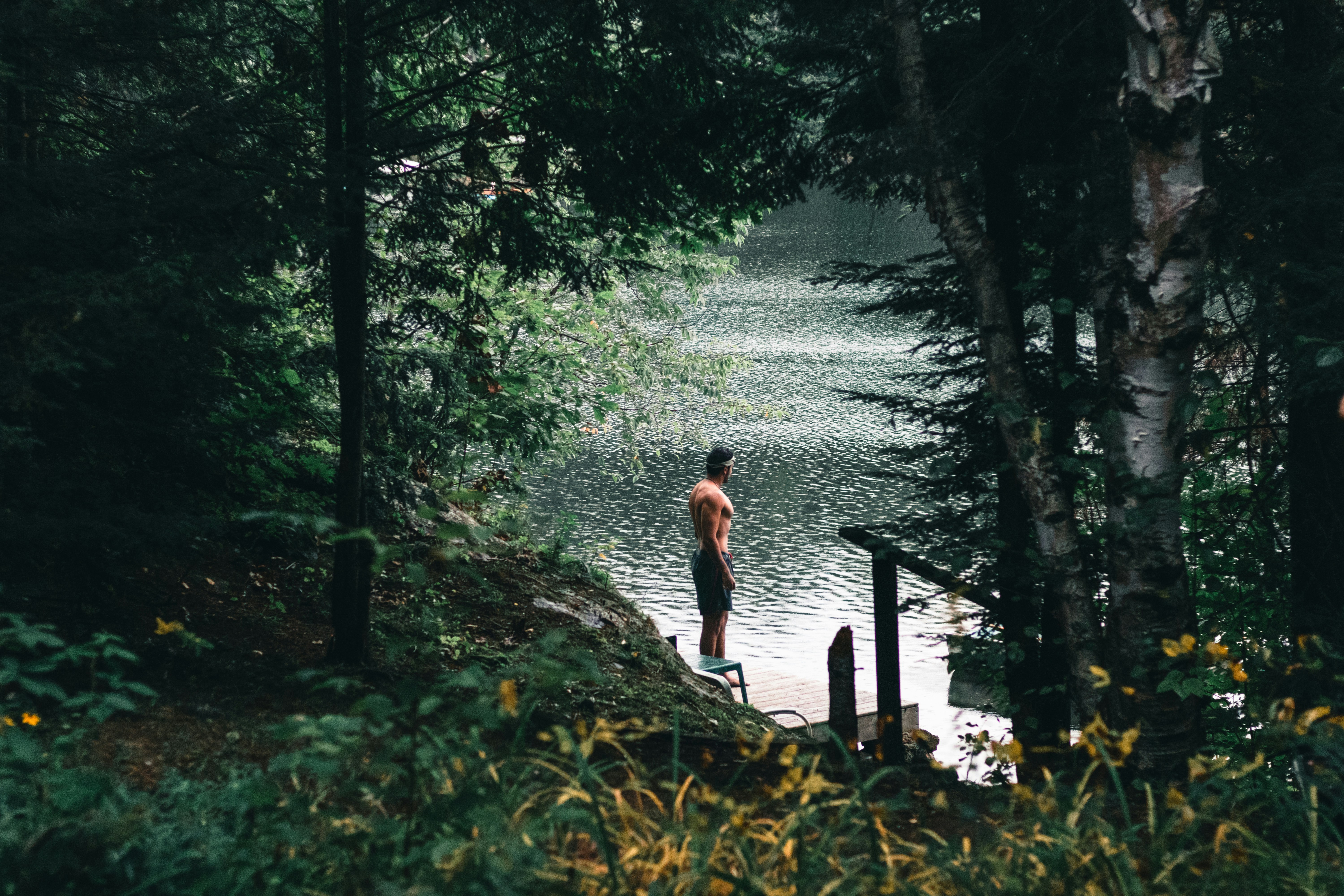 Edge of Quiet: A Lone Figure at the Mossy Lakeshore