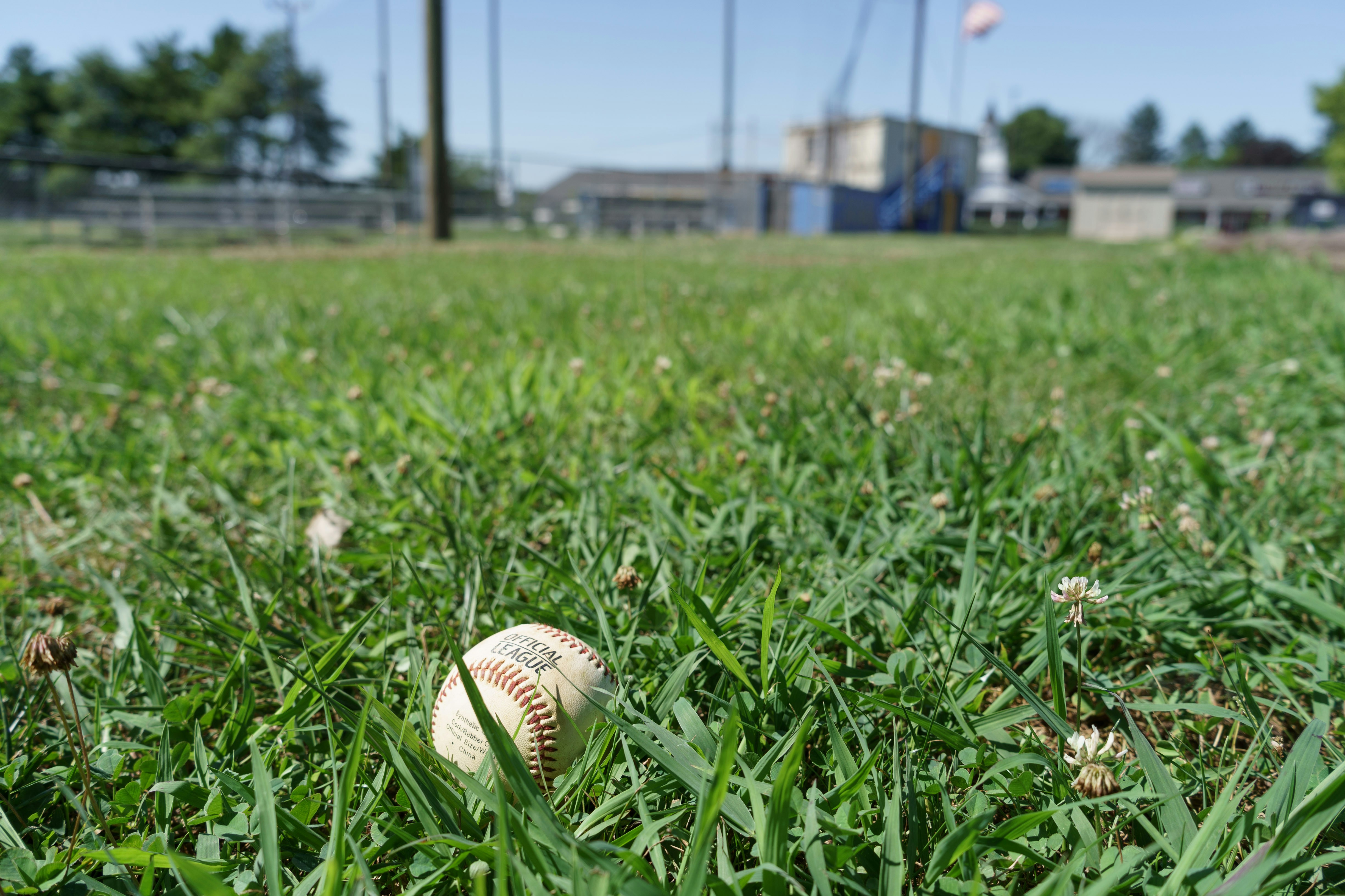 Low angle view of a baseball lying on the lawn of a baseball field. | a baseball in a field