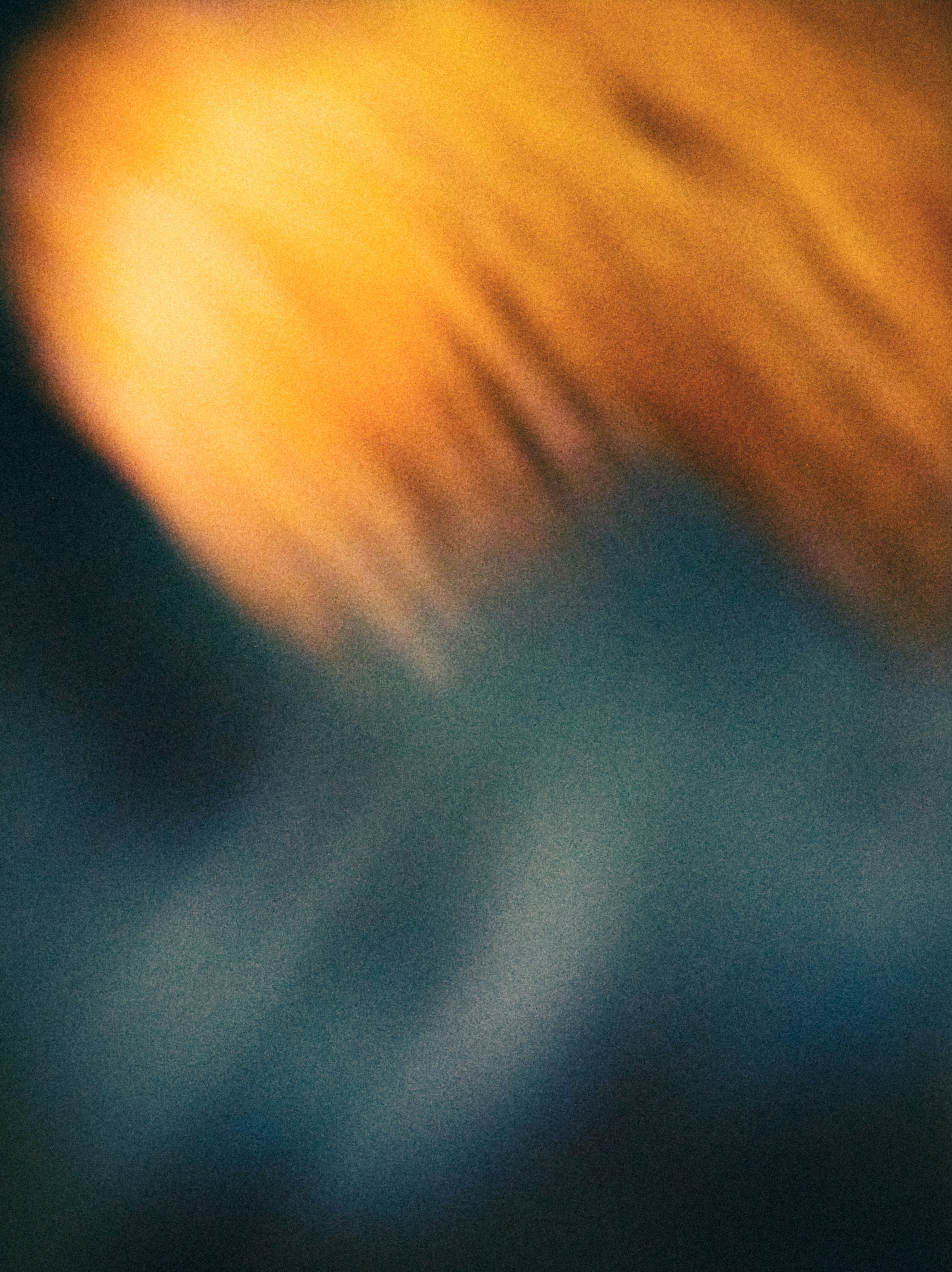 Whispers of Color in MotionSindy Süßengut