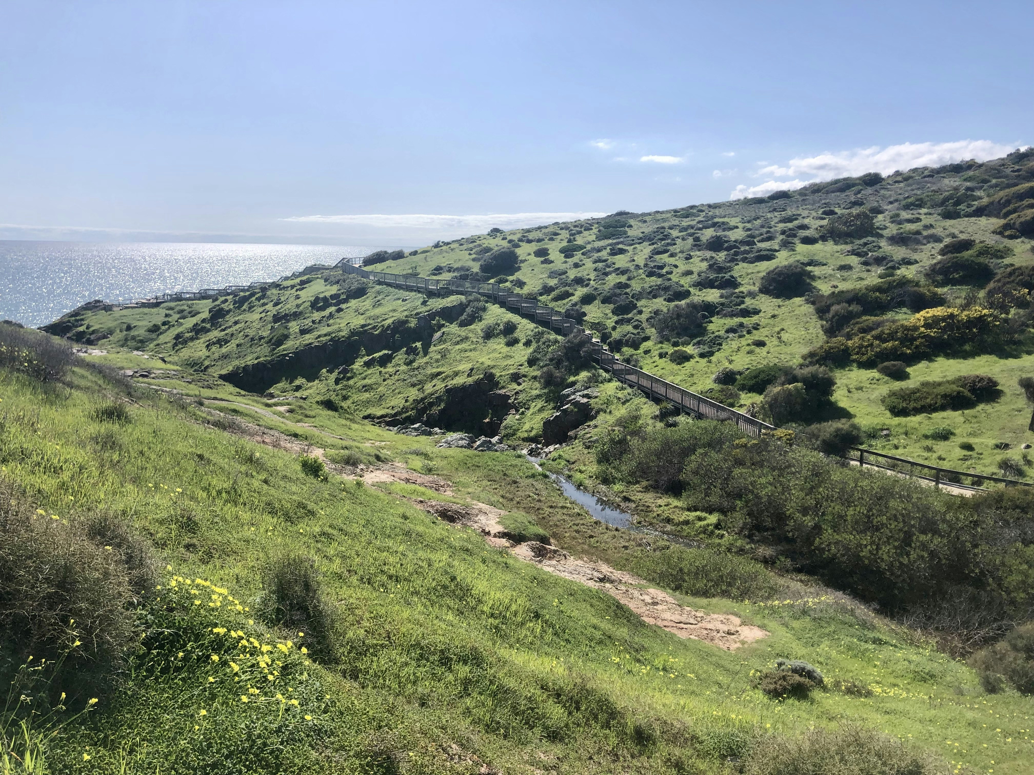 Winding Boardwalk Along a Sunlit Coastal Ridge