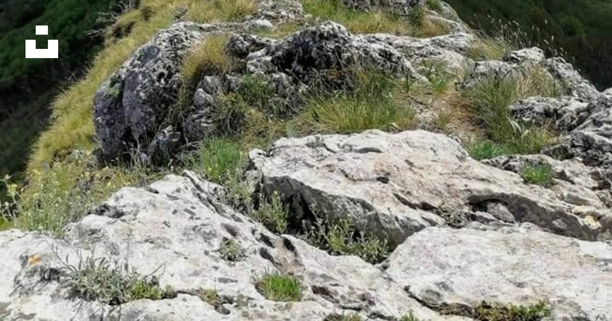 바위와 산을 배경으로 한 풀이 무성한 언덕 사진 Unsplash의 무료 자연 이미지