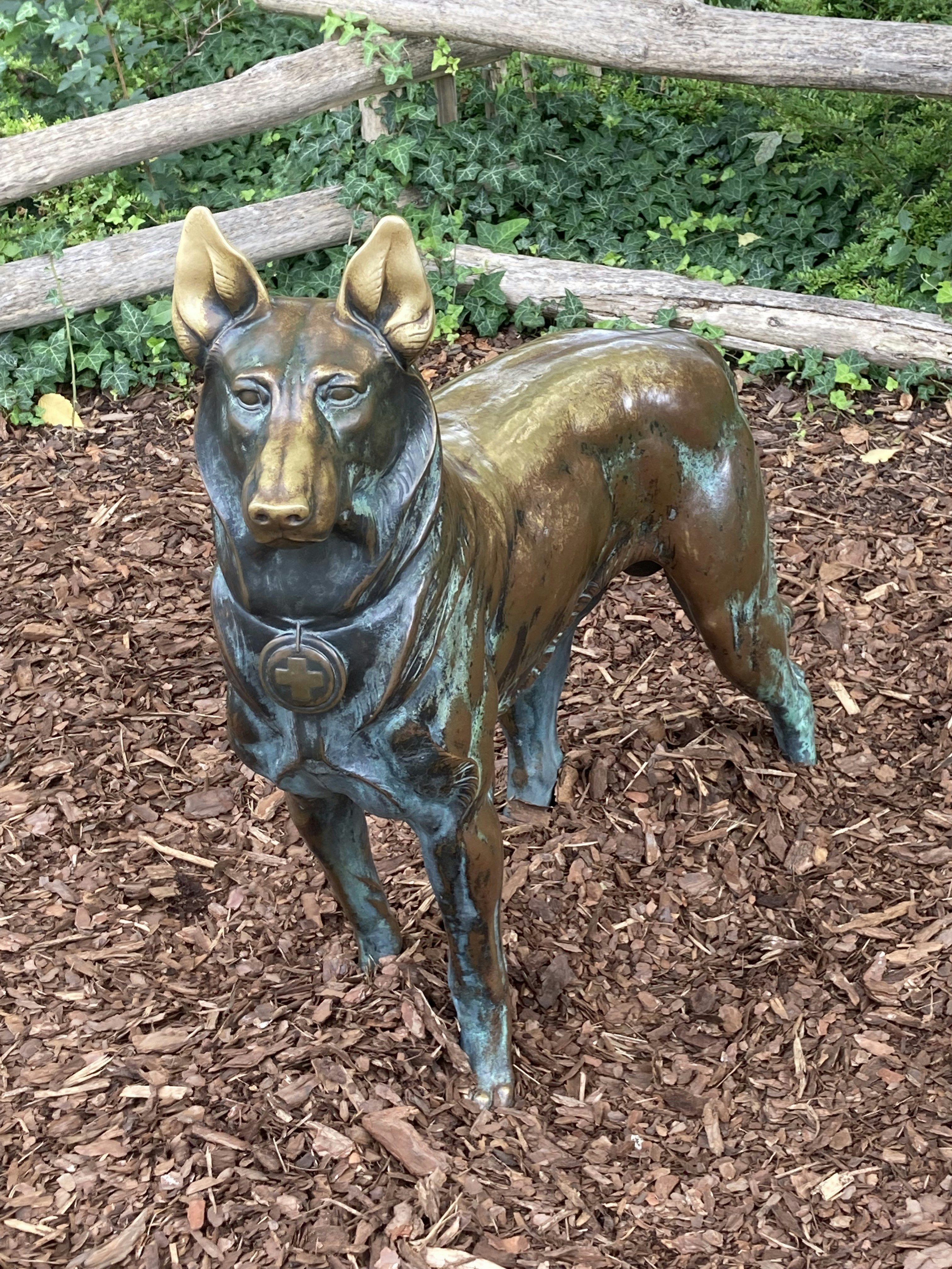 A statue of a dog photo – Free Berlin Image on Unsplash