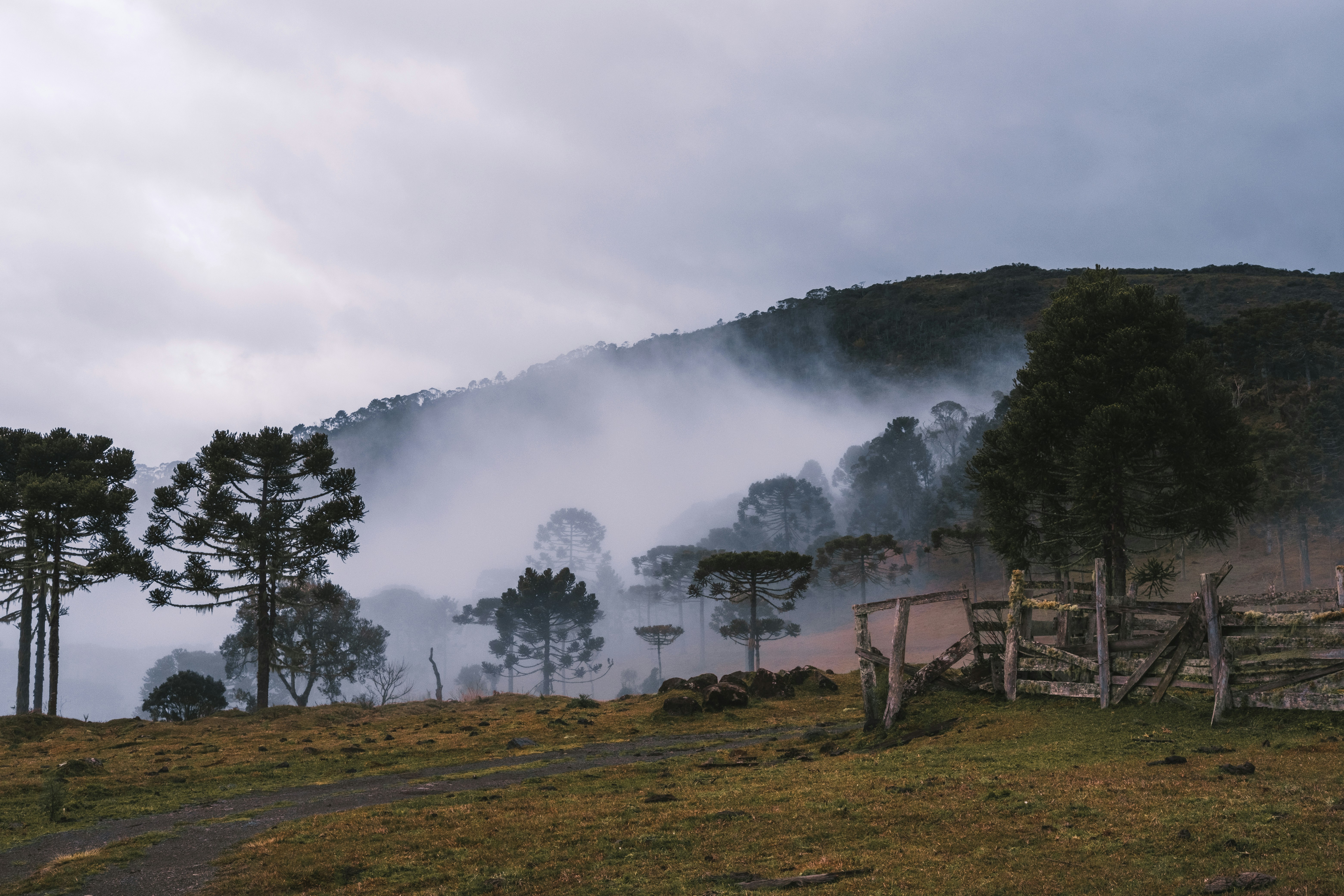 Photo by Ivan Cheremisin with Fujifilm X-E4