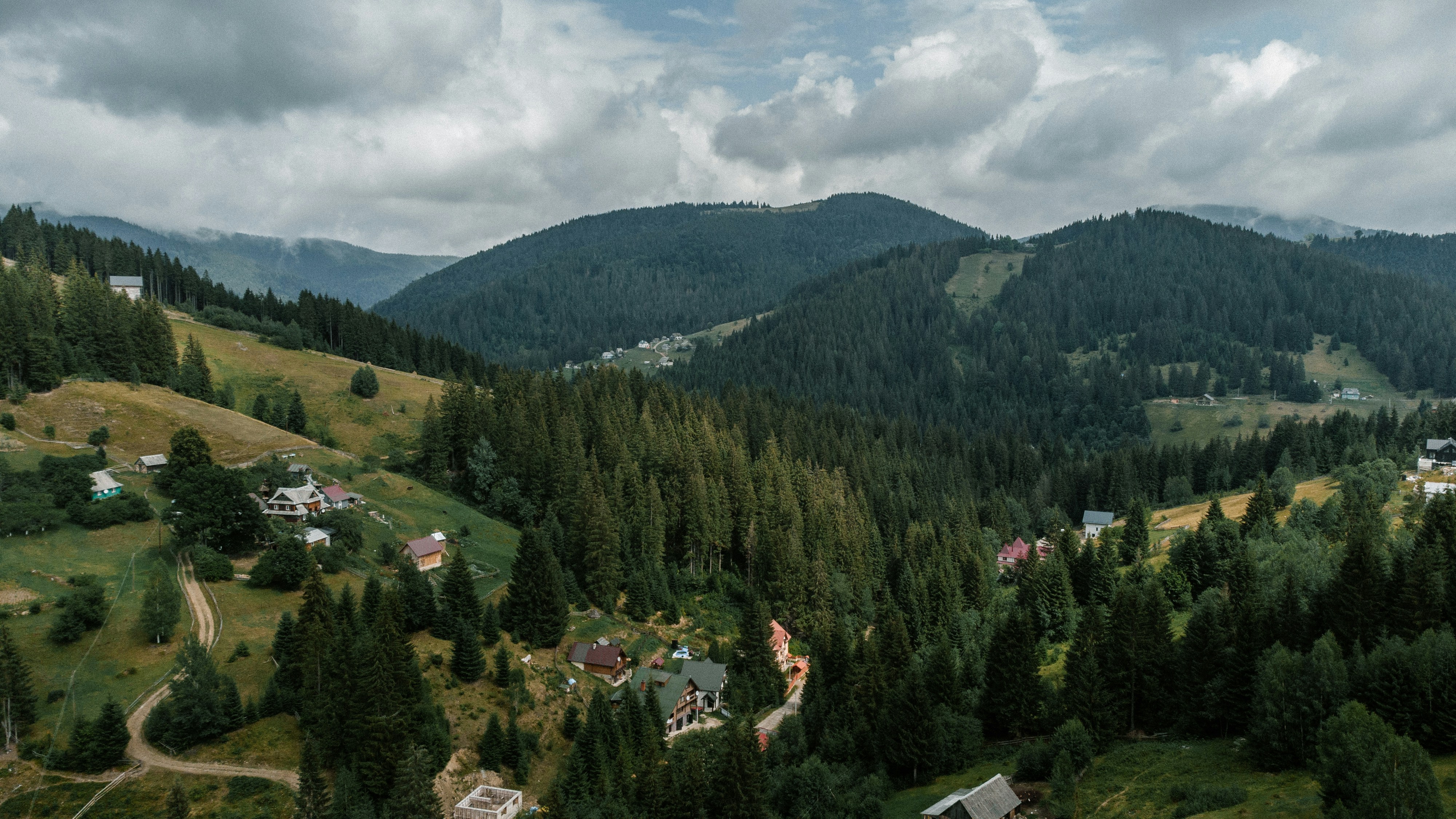 Un paysage avec des arbres et des bâtiments photo – Photo Carpates ...