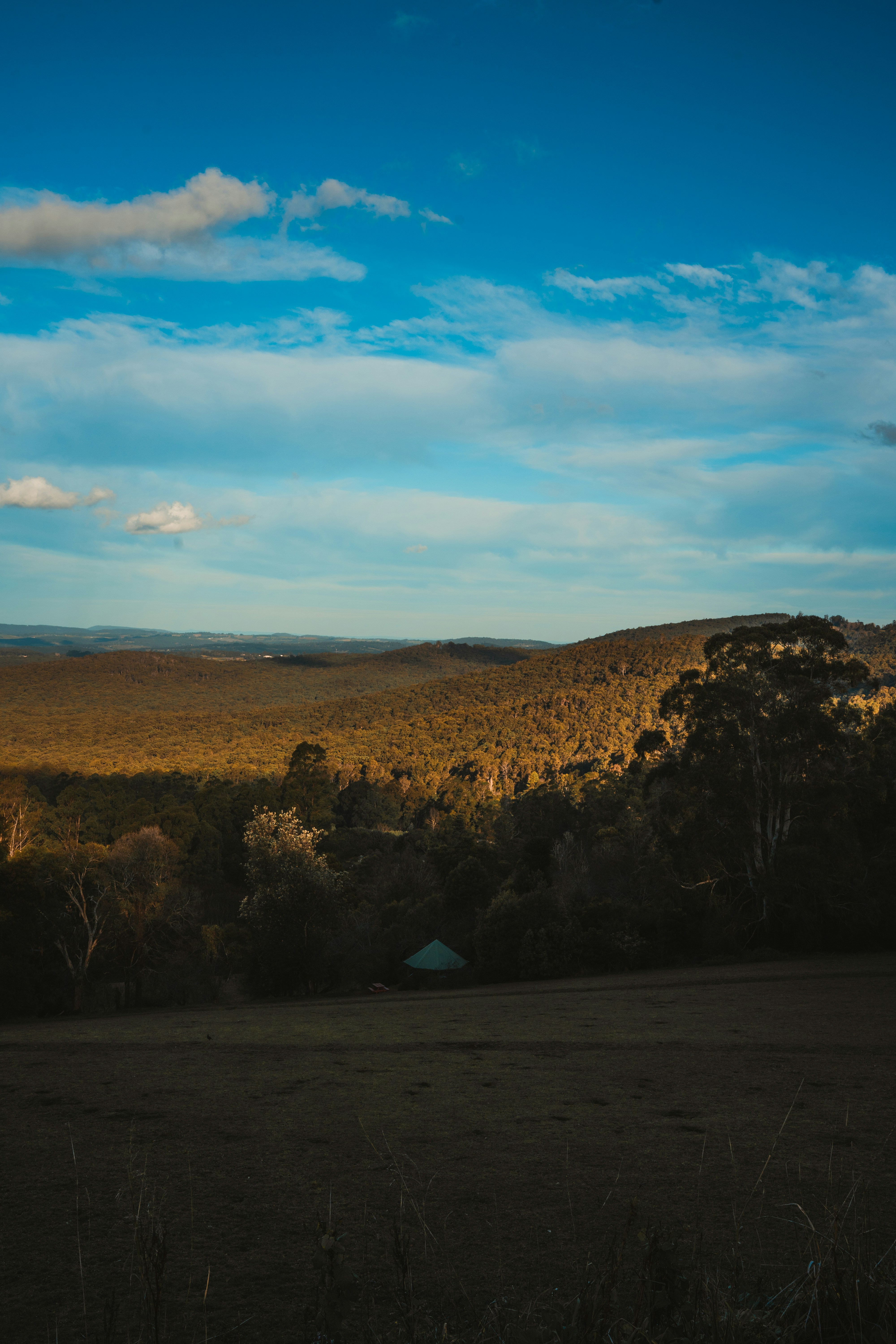 Golden Hills at Dusk: A Quiet Plateau Beneath Wide Skies