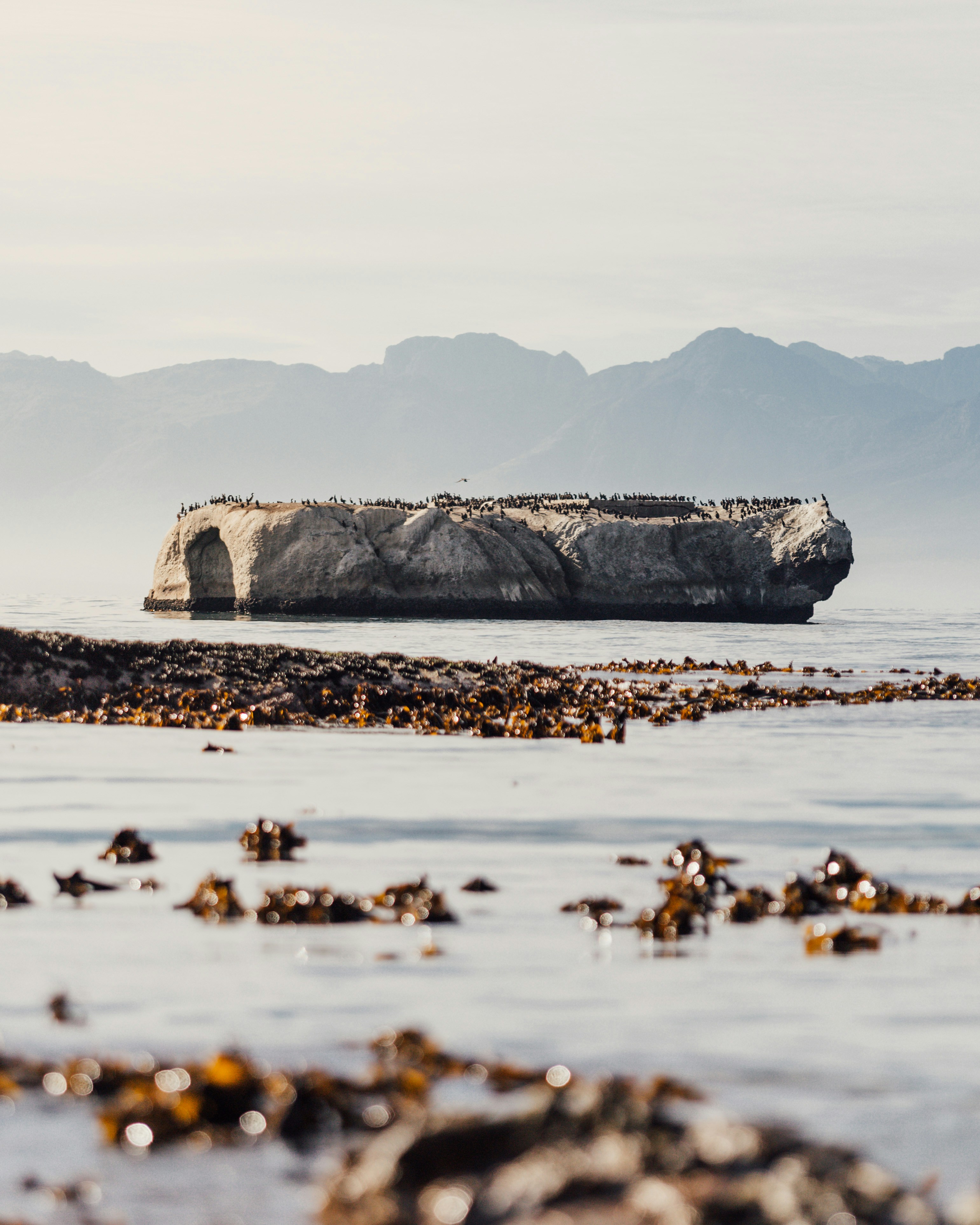 Seabird Outcrop Under Quiet Skies: A Rock Island Amid Mist and Tidal Light