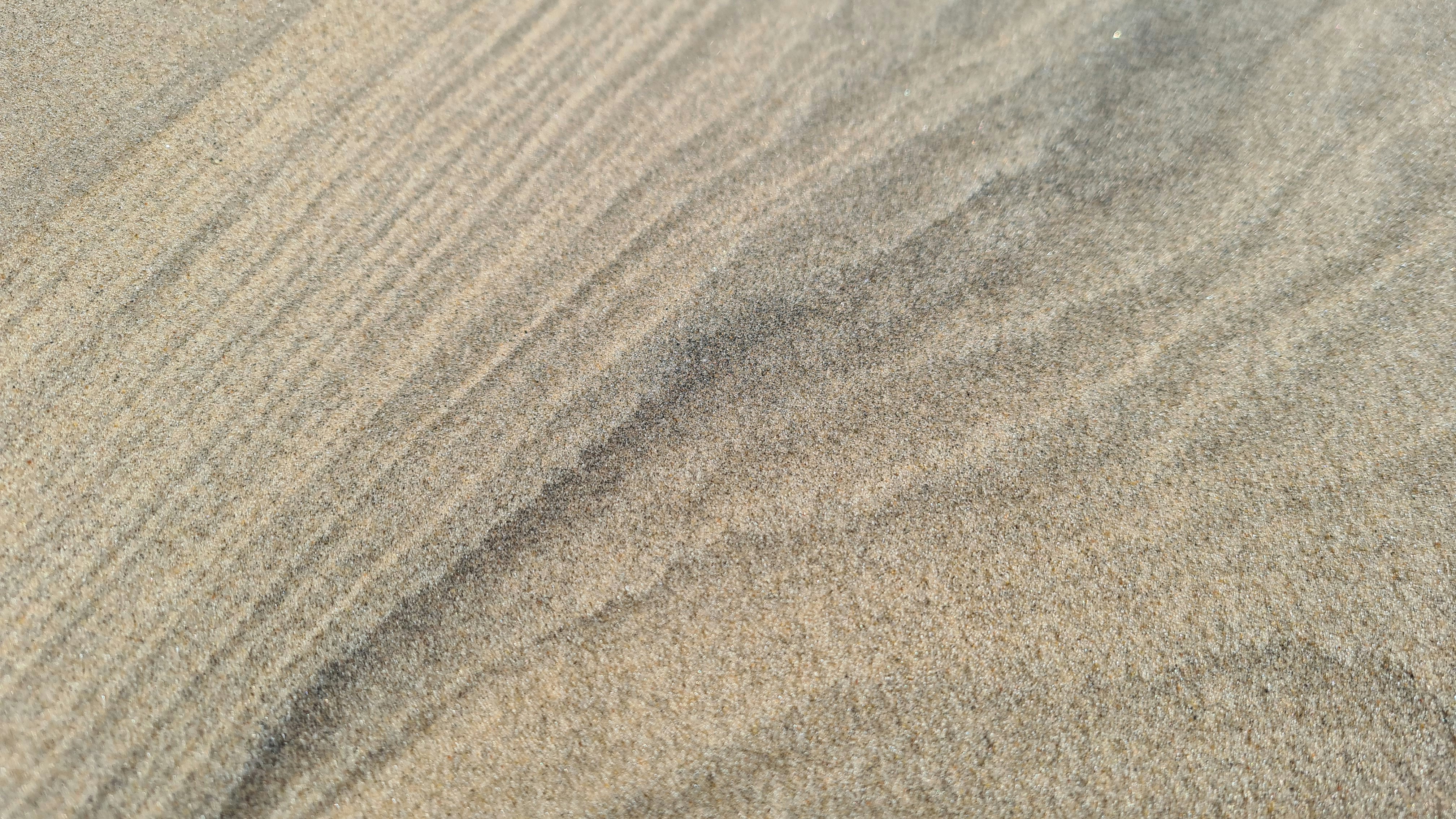 Sandy Structure in the dunes