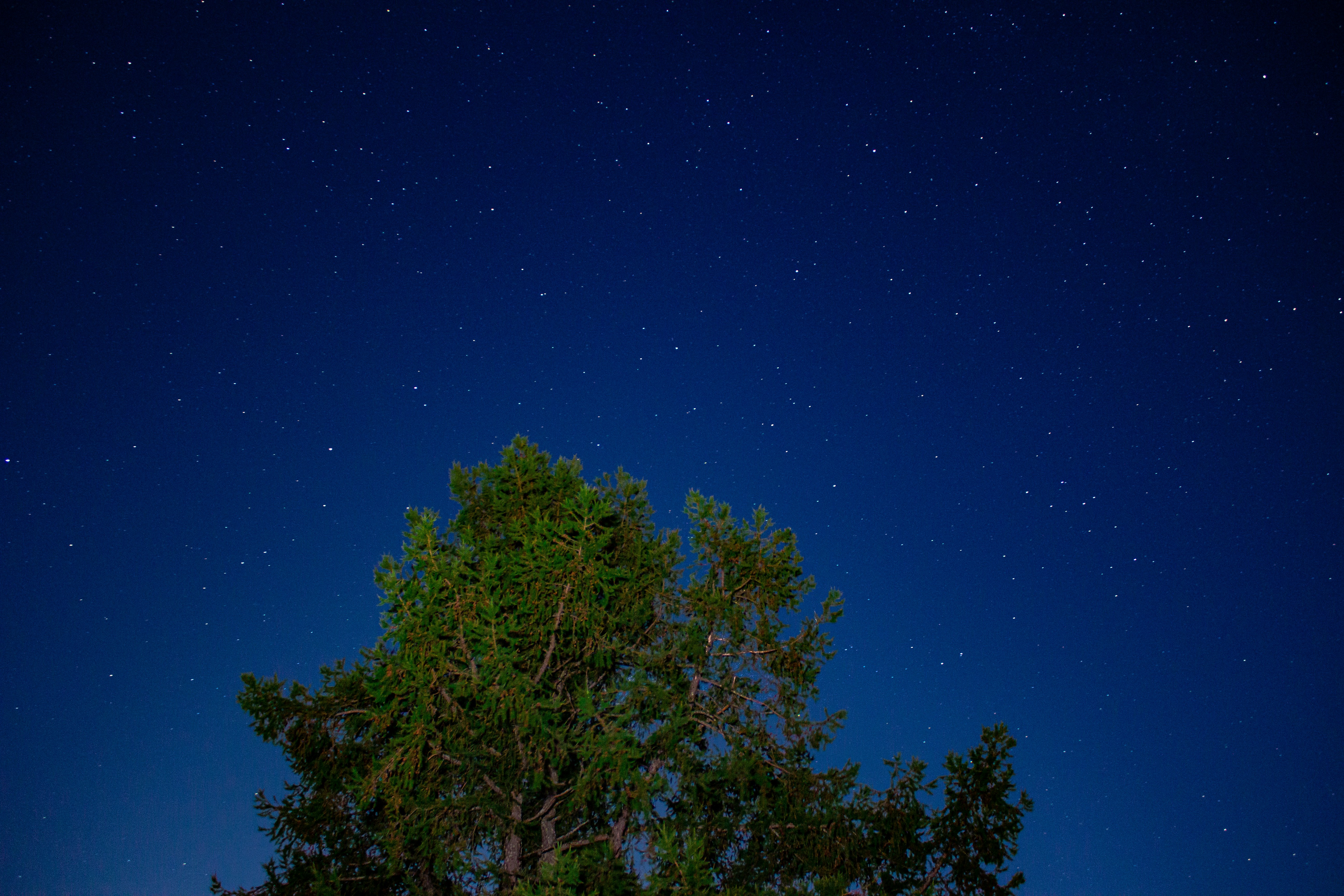 Free Stars in the sky Image on Unsplash