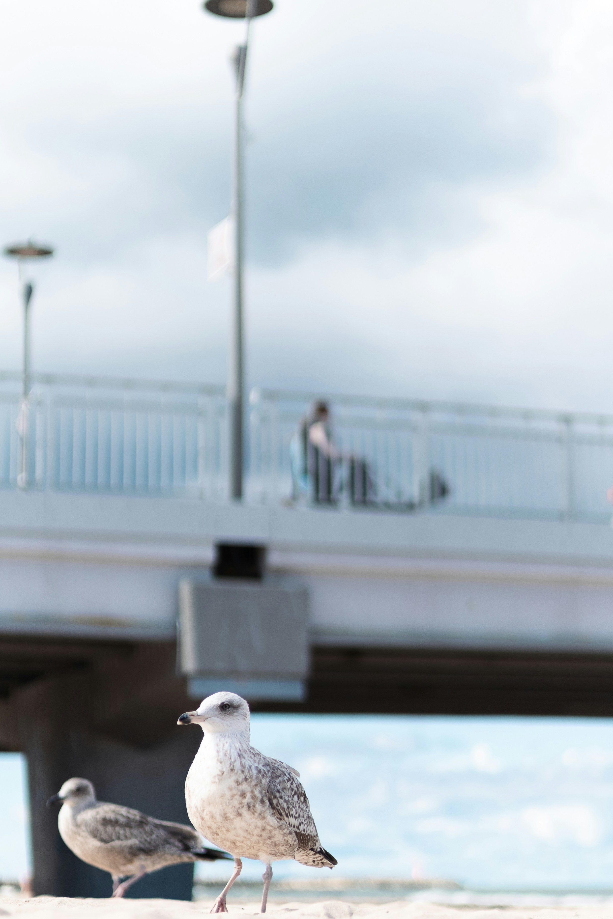 Photo by Daniel Leżuch with Canon EOS RP