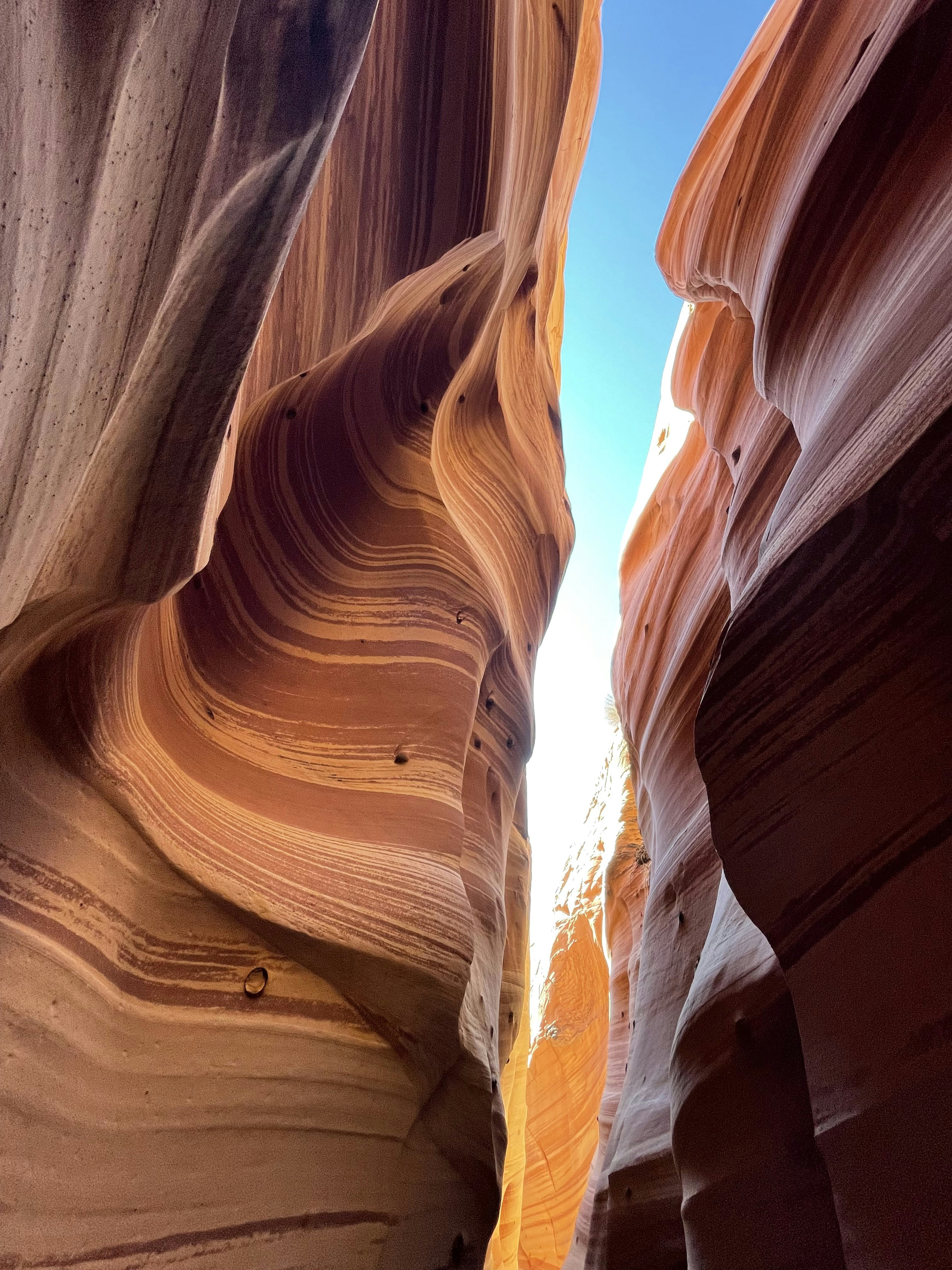 A close-up of a canyon photo – Free Caves Image on Unsplash