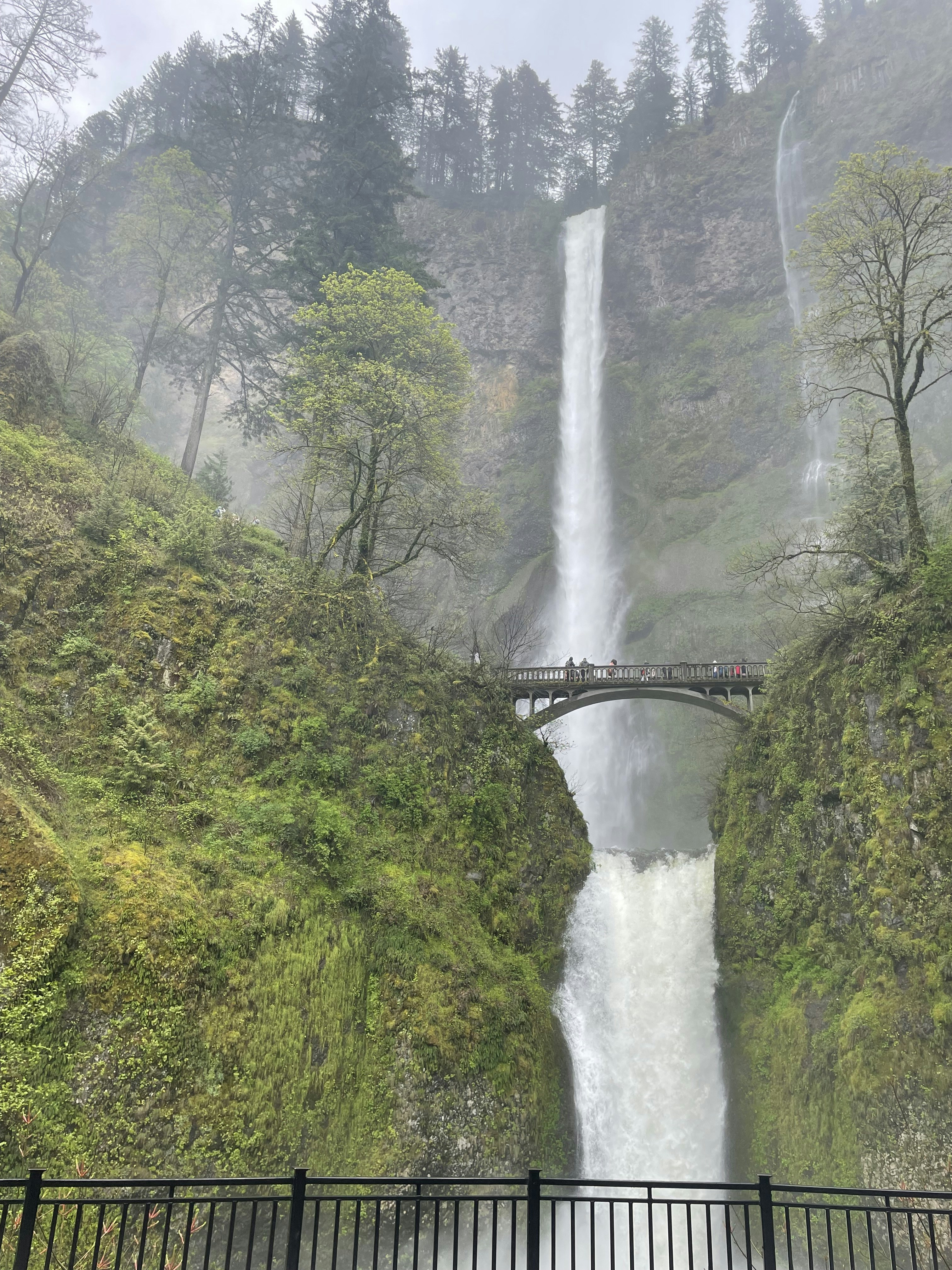 Bridge Over the Mist: Twin Cascades in a Mossy Gorge