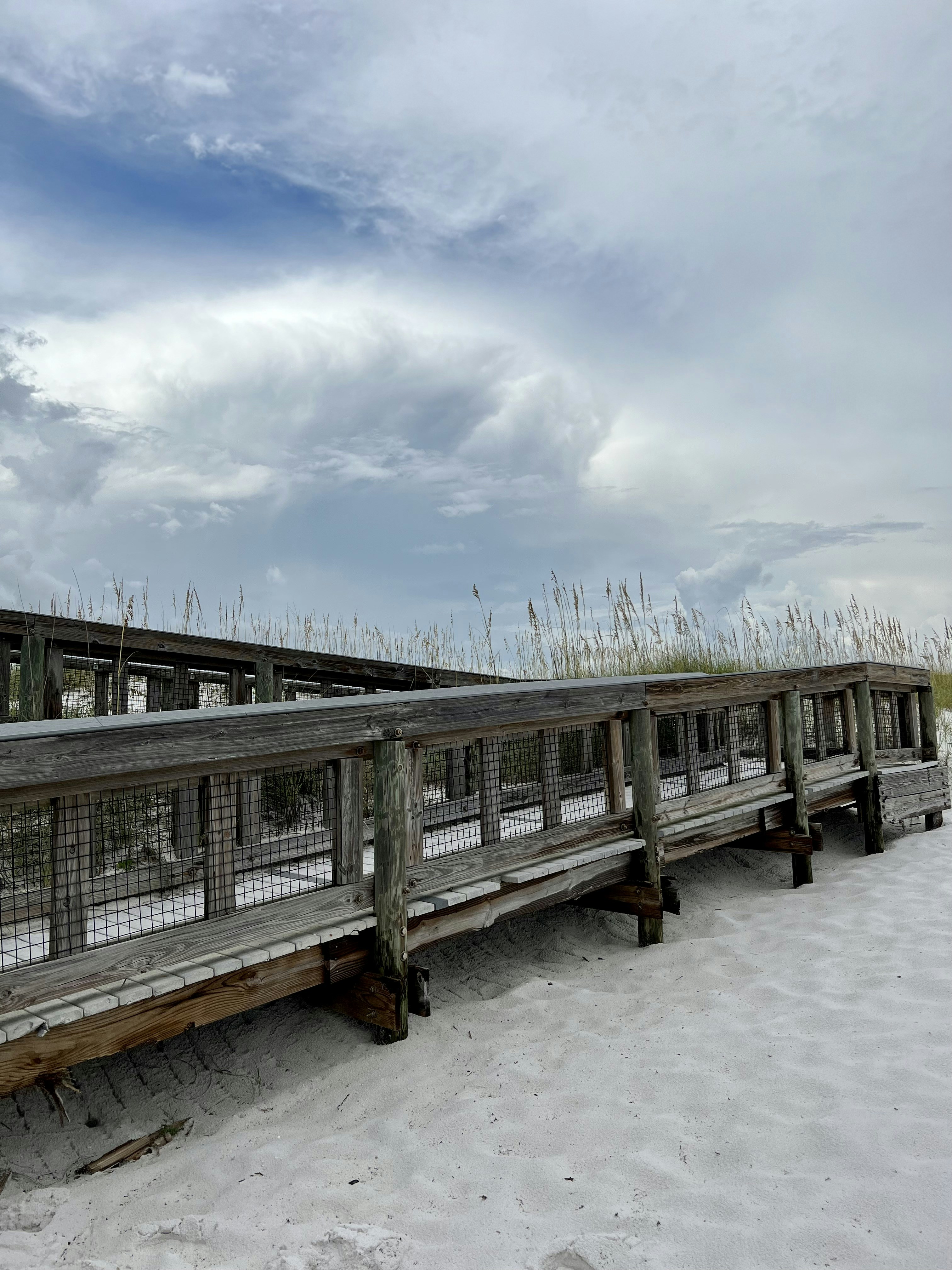 Photo by Stephanie Klepacki with Apple iPhone 13 Pro Max