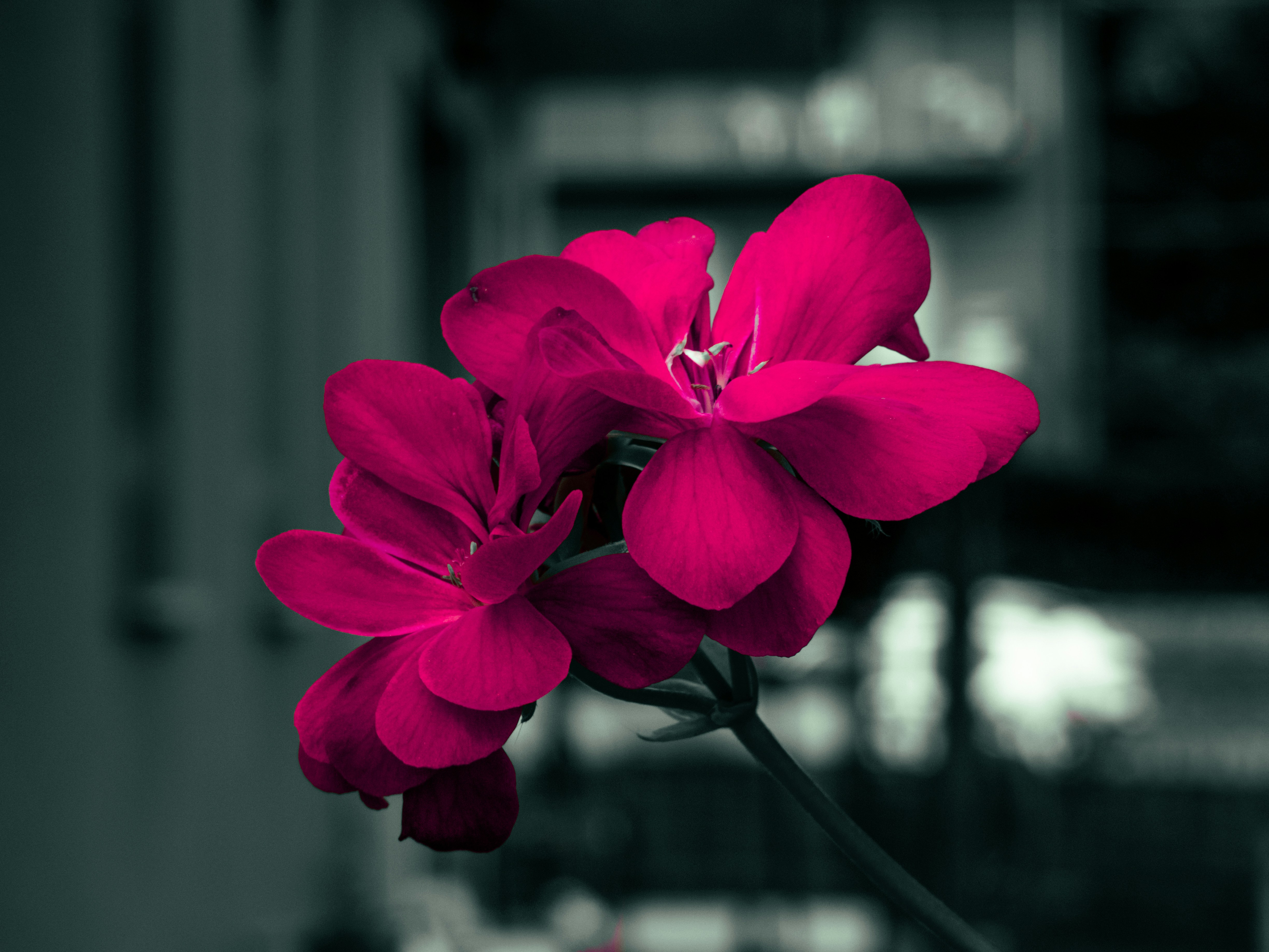 One Colour Pictures | Download Free Images on Unsplash