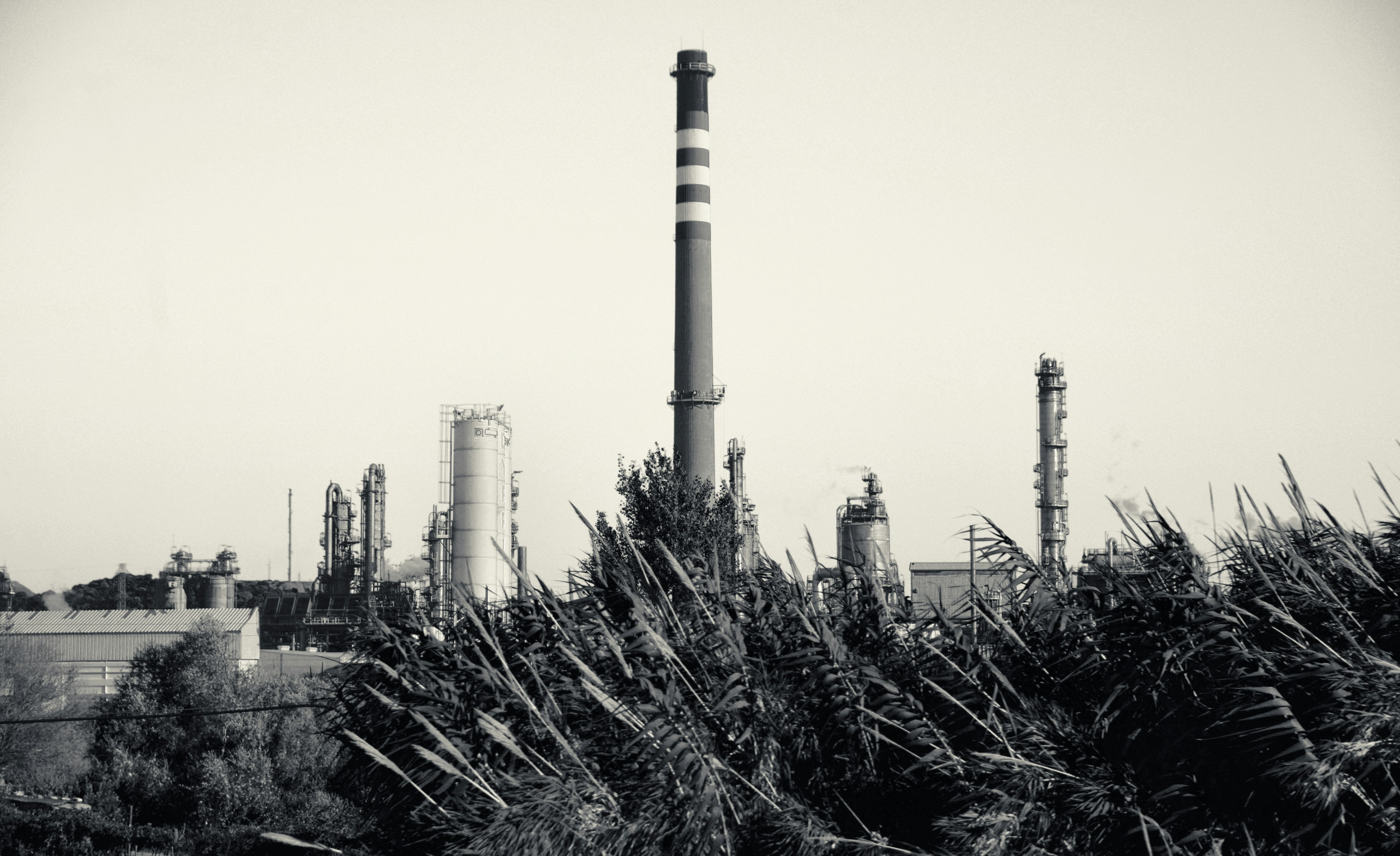 Tall smokestacks and industrial structures rise against a pale sky, framed by dense foliage in the foreground.
