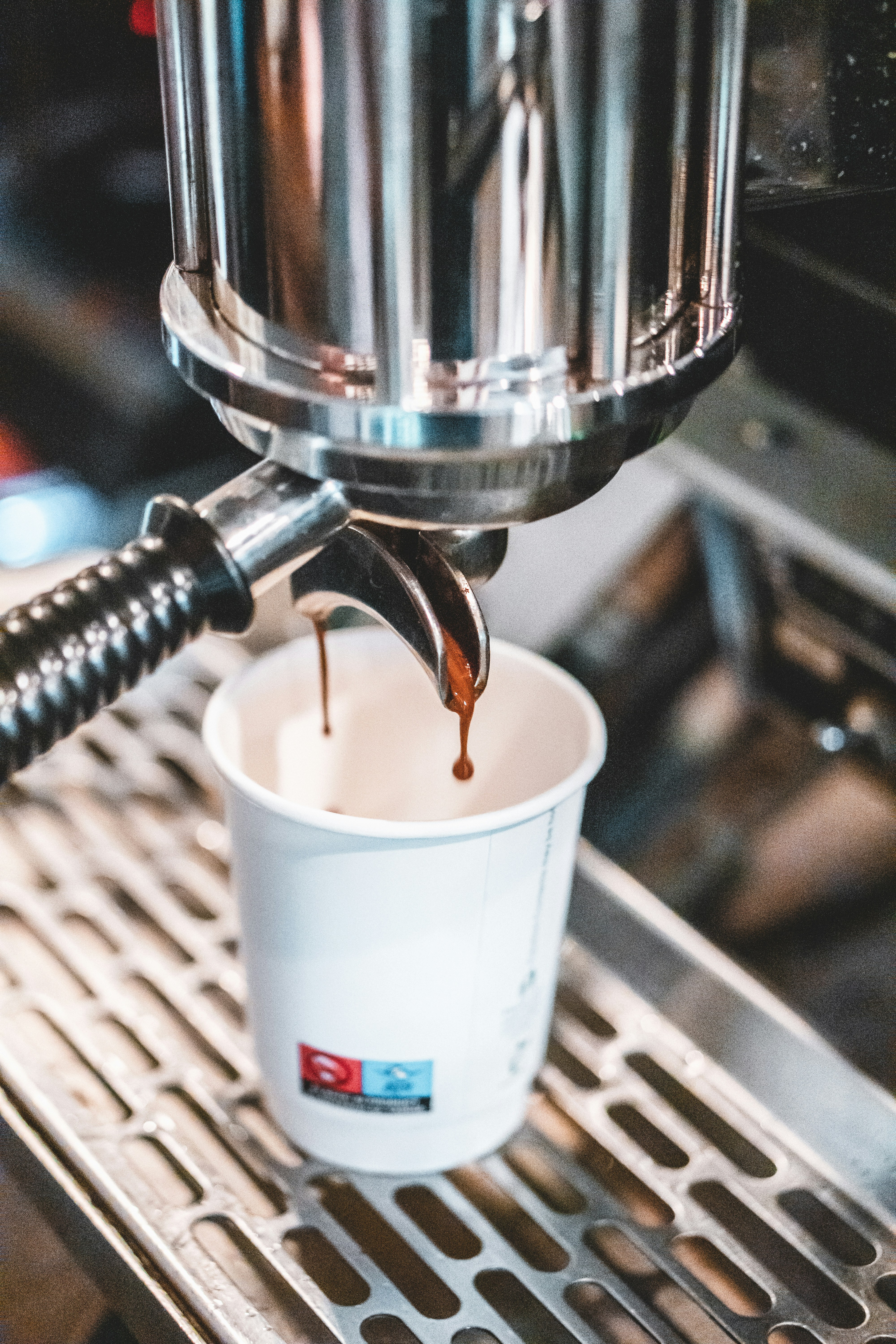 A bug on a coffee cup photo – Free Coffee Image on Unsplash