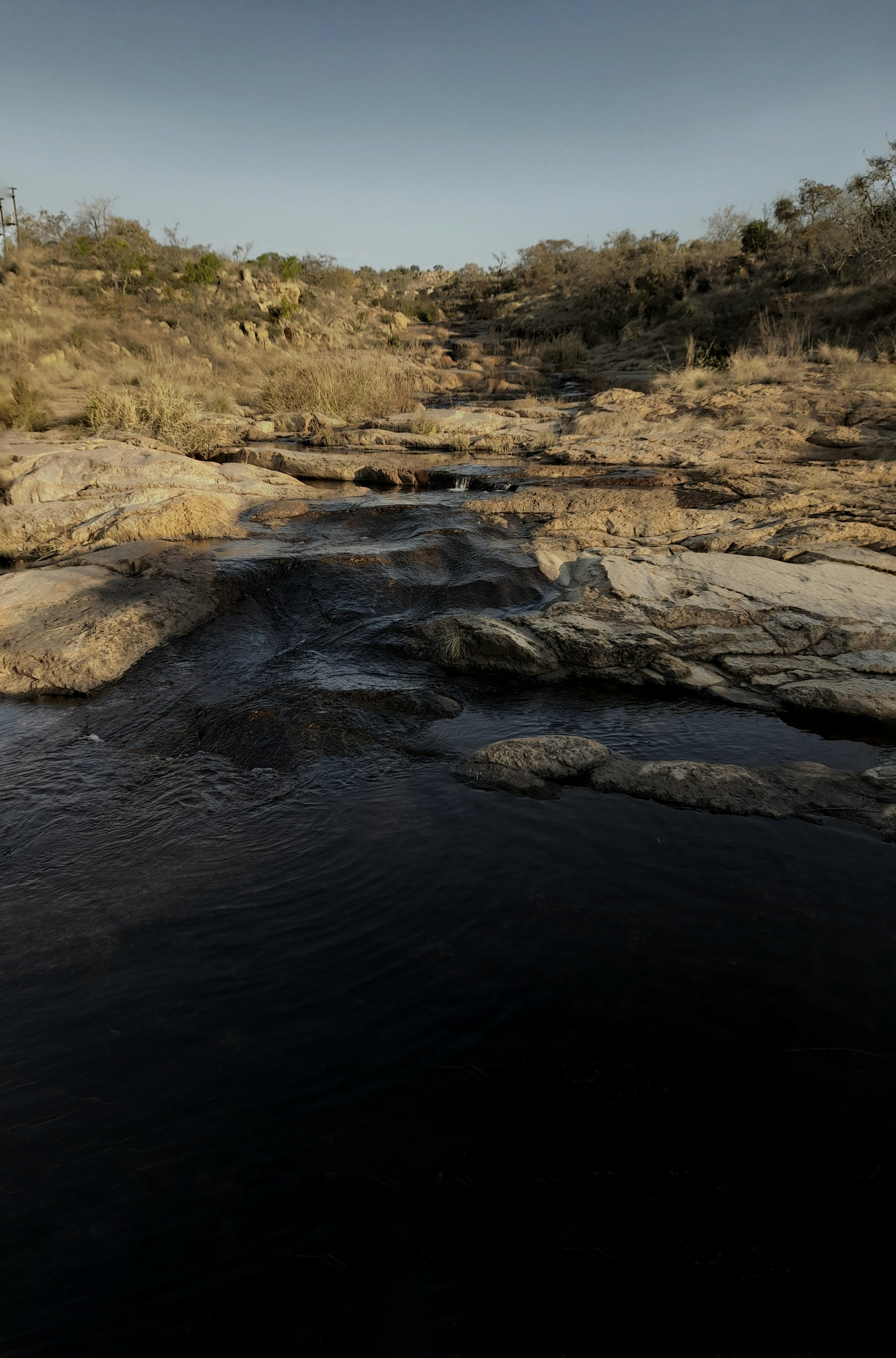 Backyard Photography (@backyardphotos) | Unsplash Photo Community